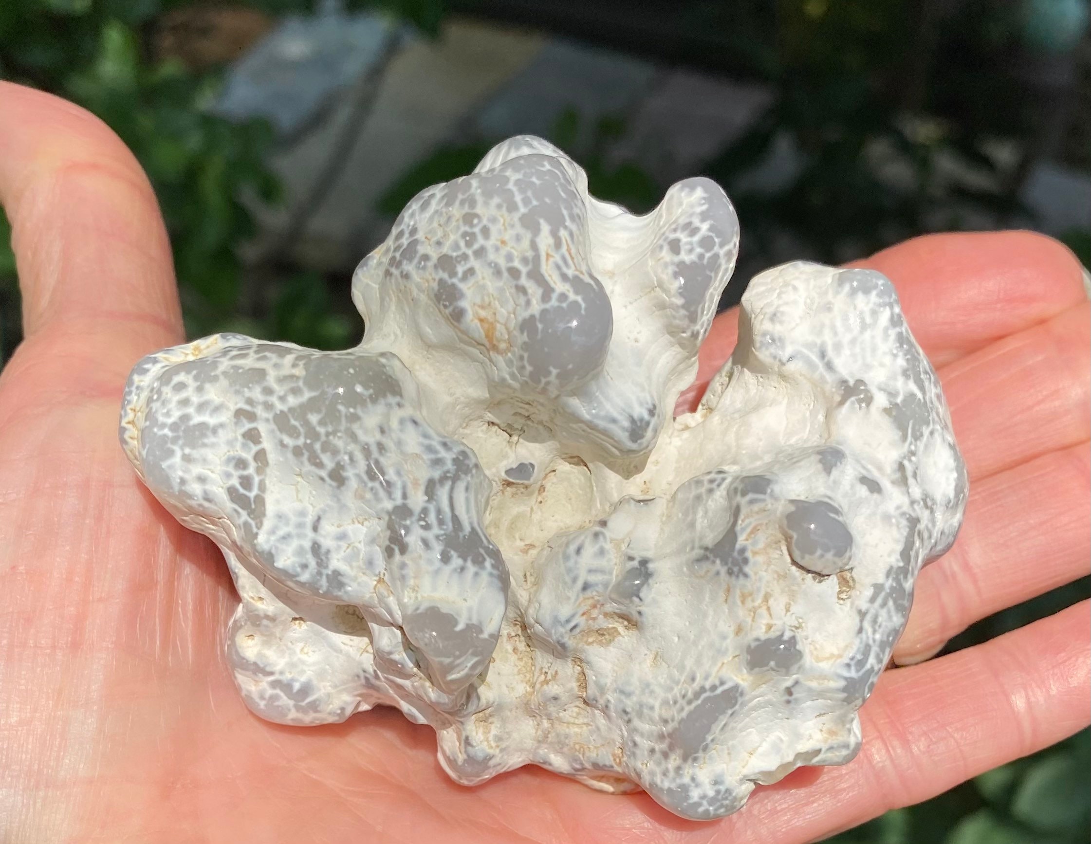 1/2 LB-SNAKESKIN AGATE, Knobby Palm Stone, Polished, 195.60 Grams ...