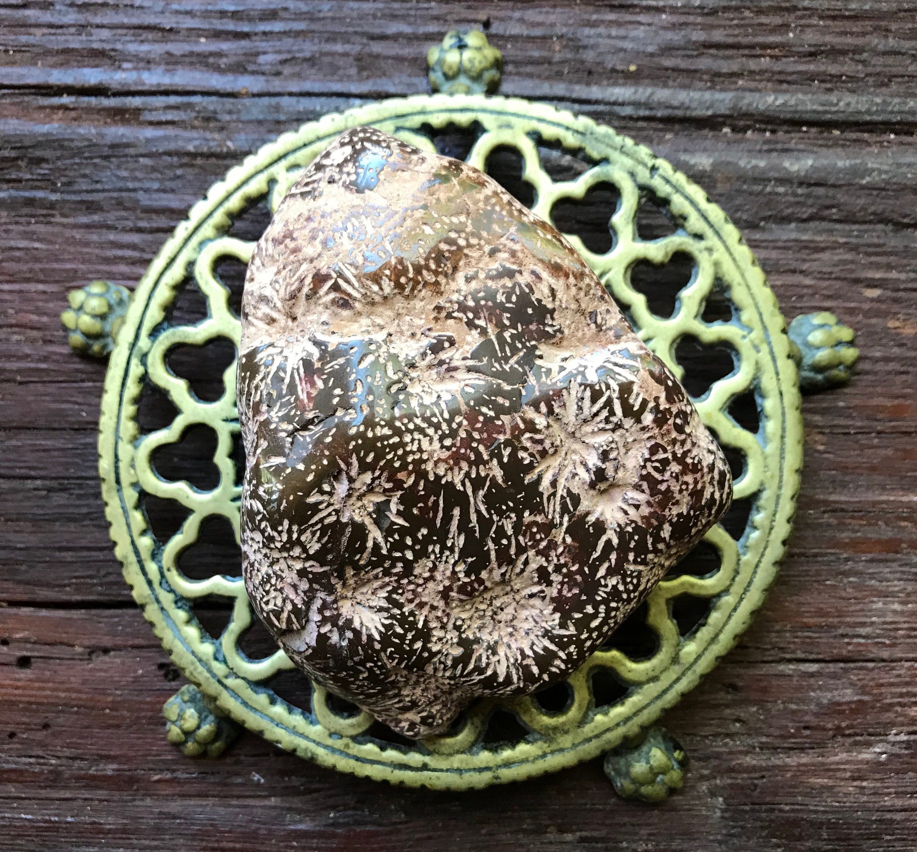 1/2 LB Starburst Jasper, Large Palm Stone, Mexico, 282.5 Grams, 10 ...