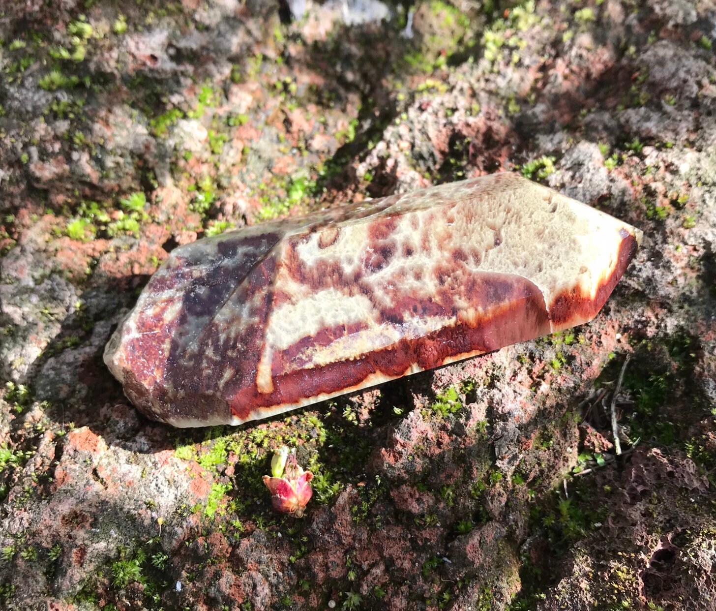 Angel Wing, Red Amphibole Phantom Tabby Quartz, Keys, Semi-Polished ...