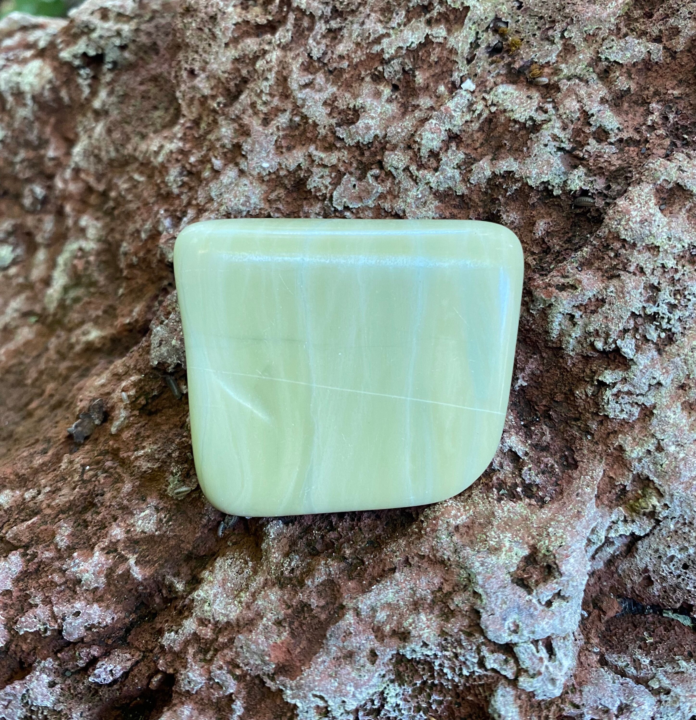 BUTTERSTONE, Older than the Dinosaur, Africa, 30.20 Grams, CR10380