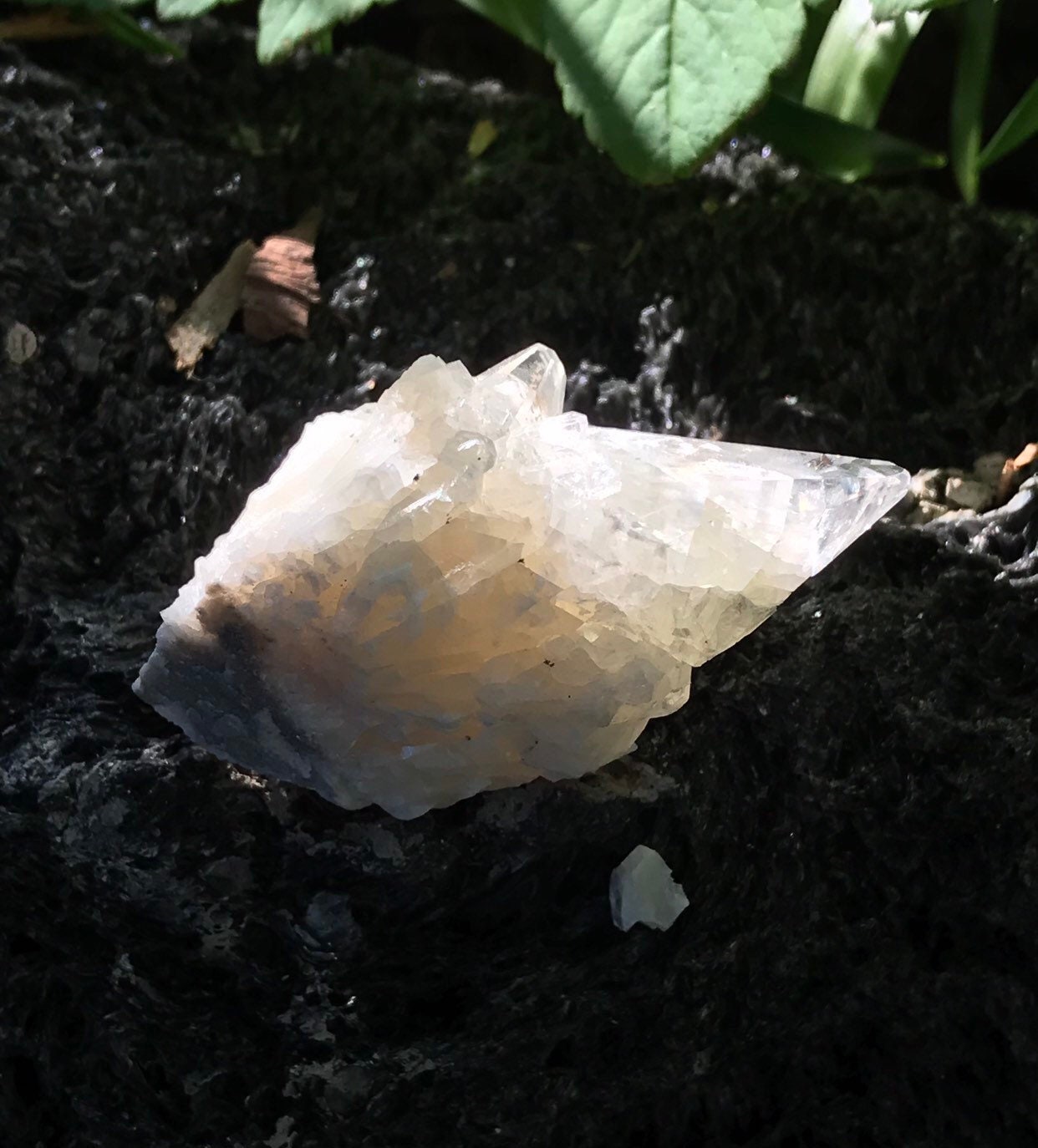 Dogtooth Calcite Cluster, Clear, Golden, Raw, Iowa, 65.7 Grams, CR5314