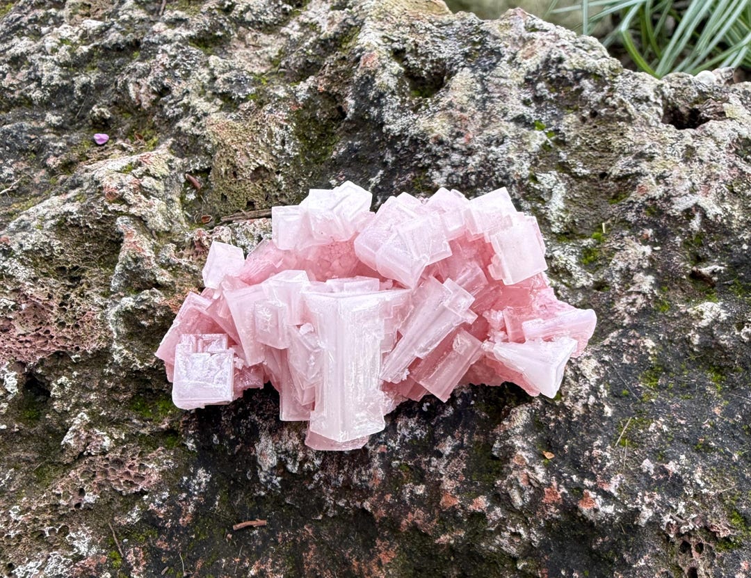 Pink Halite, Rock Salt Crystal, Hopper Crystals, Searles Valley ...
