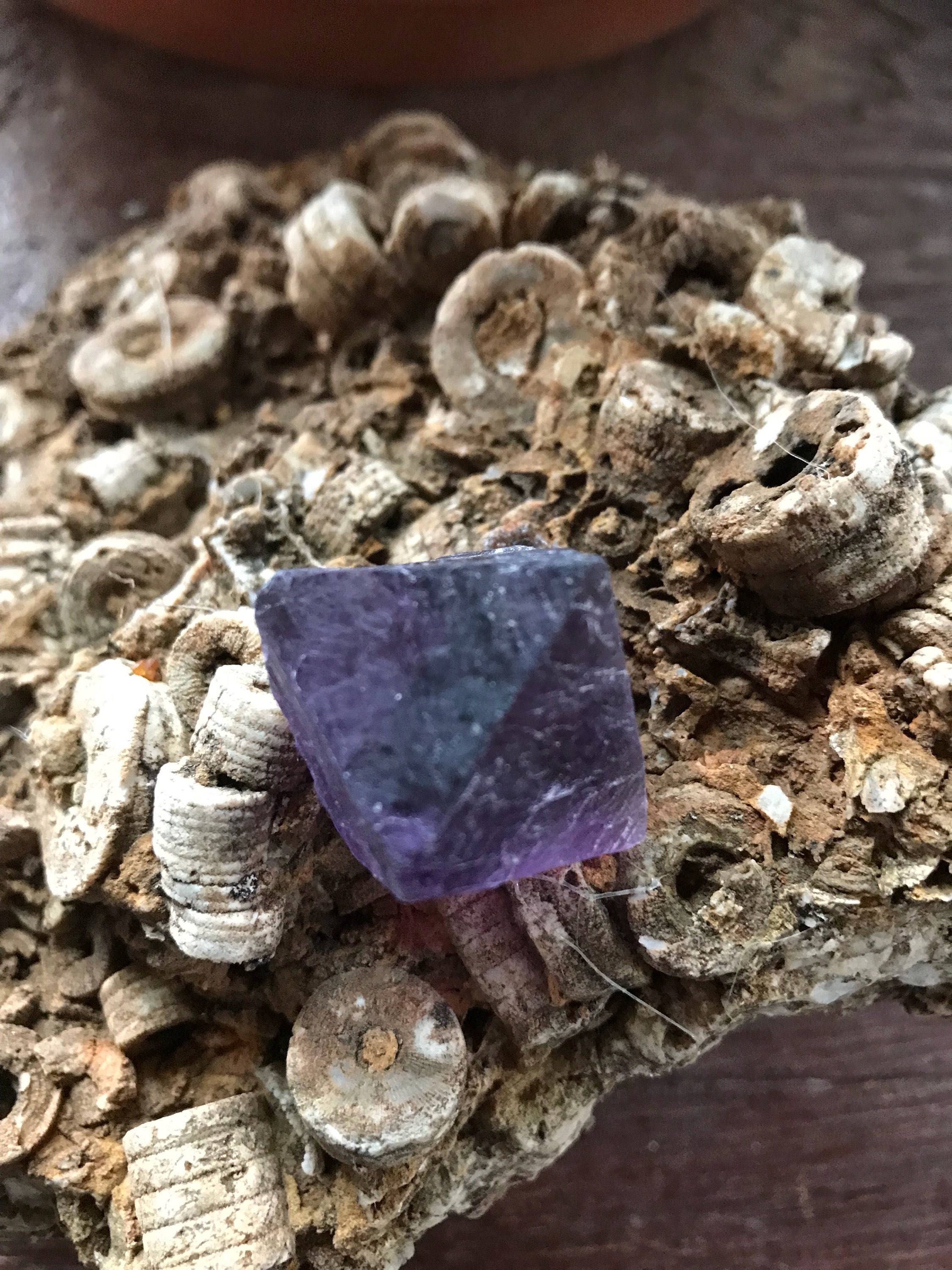 Fluorite, Violet, Raw Octahedron, Mine Fresh, 22.1 Grams, CR2672