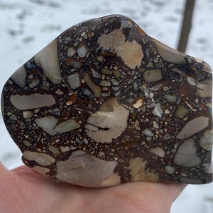 Pudding Stone, 1 LB+ Free Form, Polished Standing Conglomerate Stone ...