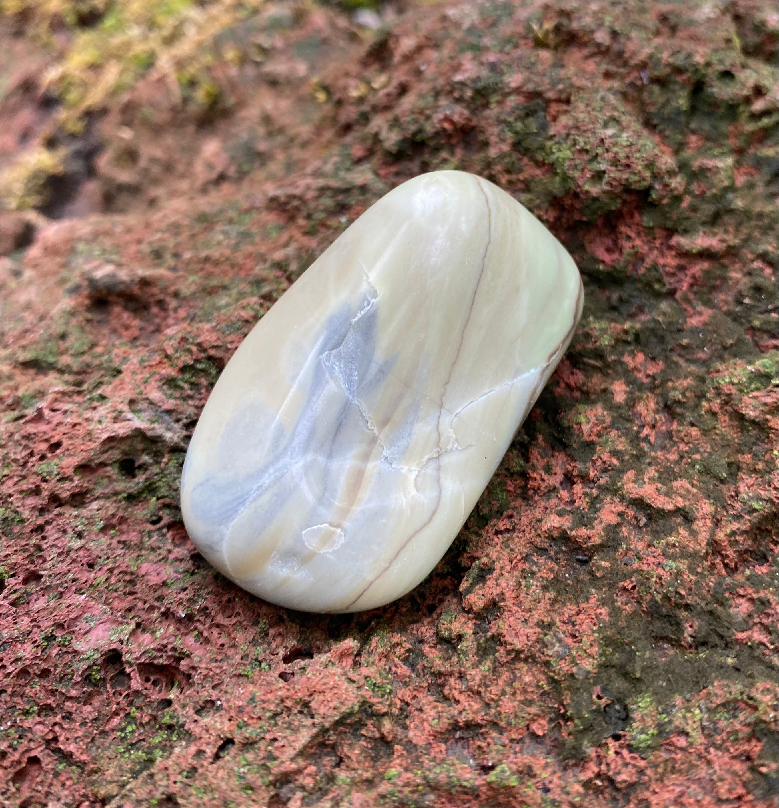 BUTTERSTONE, Older than the Dinosaur, Africa, 31.30 Grams, CR10571