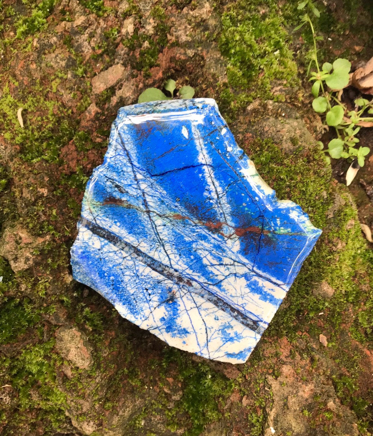 Azurite Slab, With Cuprite & Limonite, Polished Face, Arizona, 84.5 ...