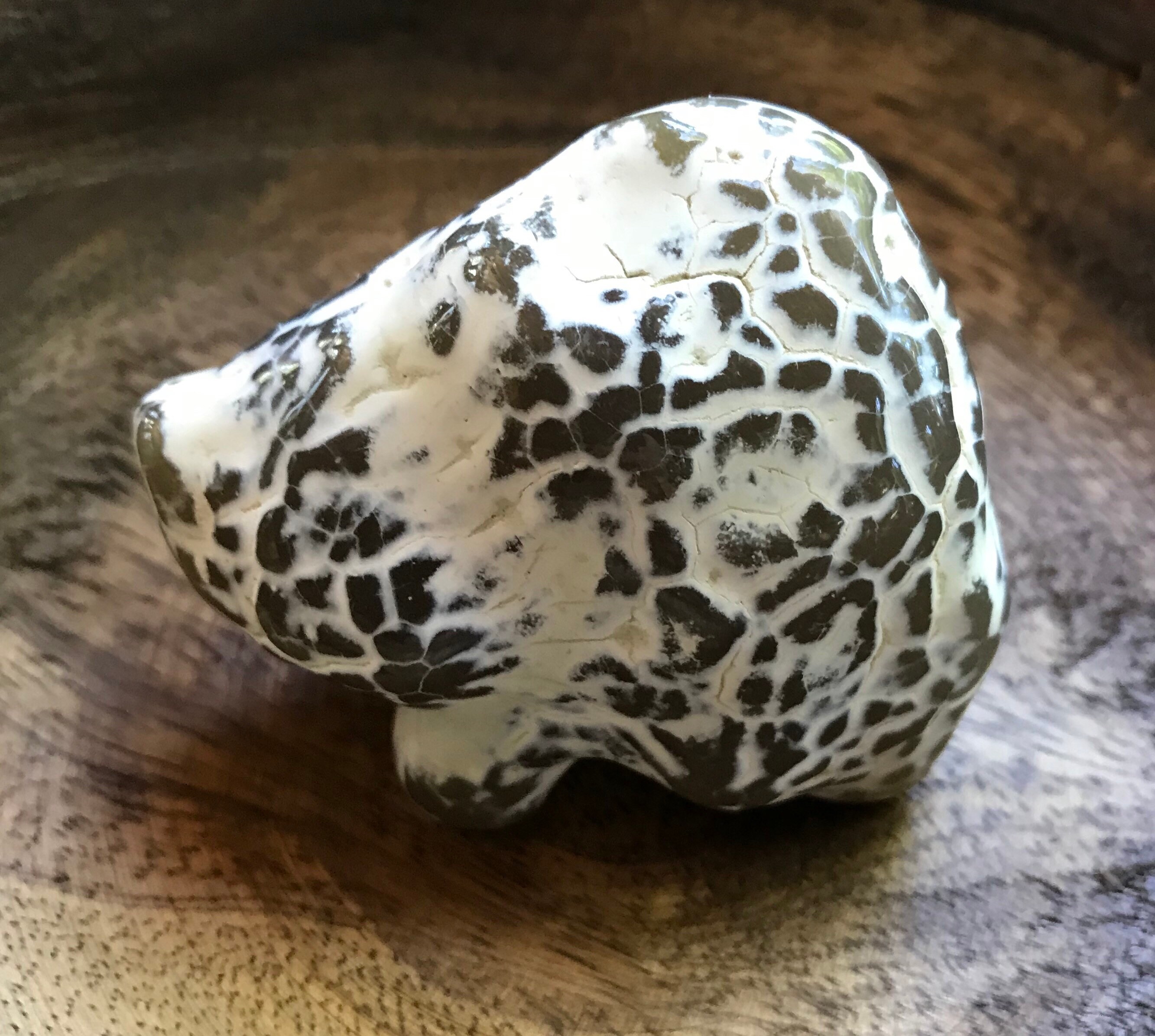 1/4 LB SNAKESKIN AGATE, Palm Stone, Polished, 127.8 Grams, Oregon, CR4176