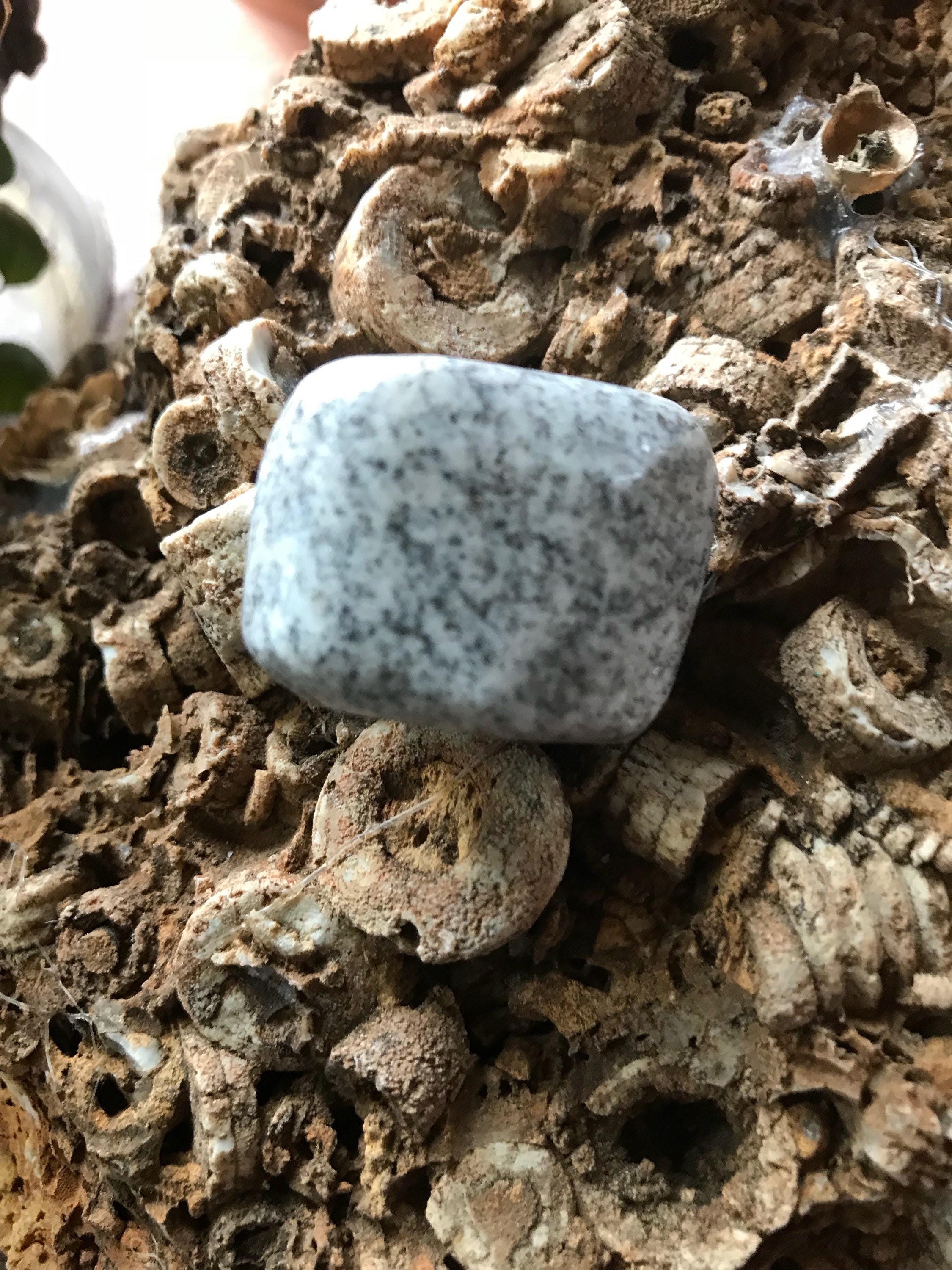 K2 Stone, Azurite in Granite, K2 Mountain, Pakistan, Polished, 22.8 ...