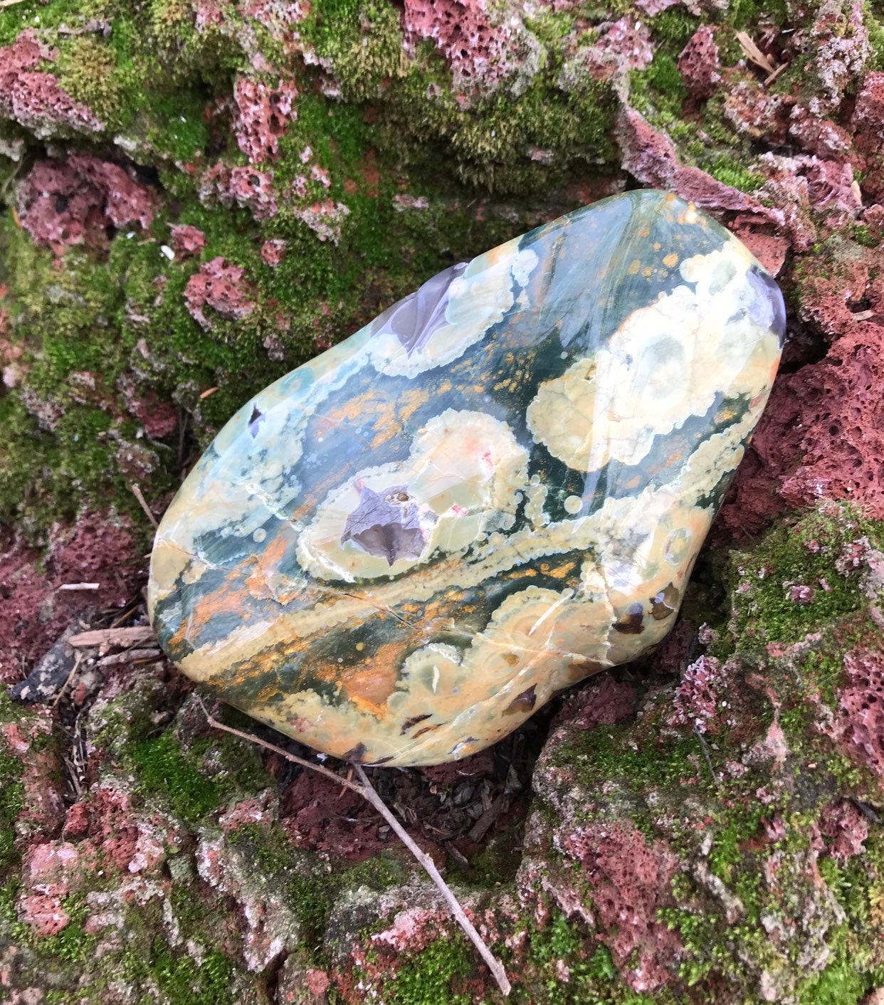 Sold to Kathleen 1/9*1/2 LBS Rainforest Jasper 223.9 Grams, 7.9 Ounces ...