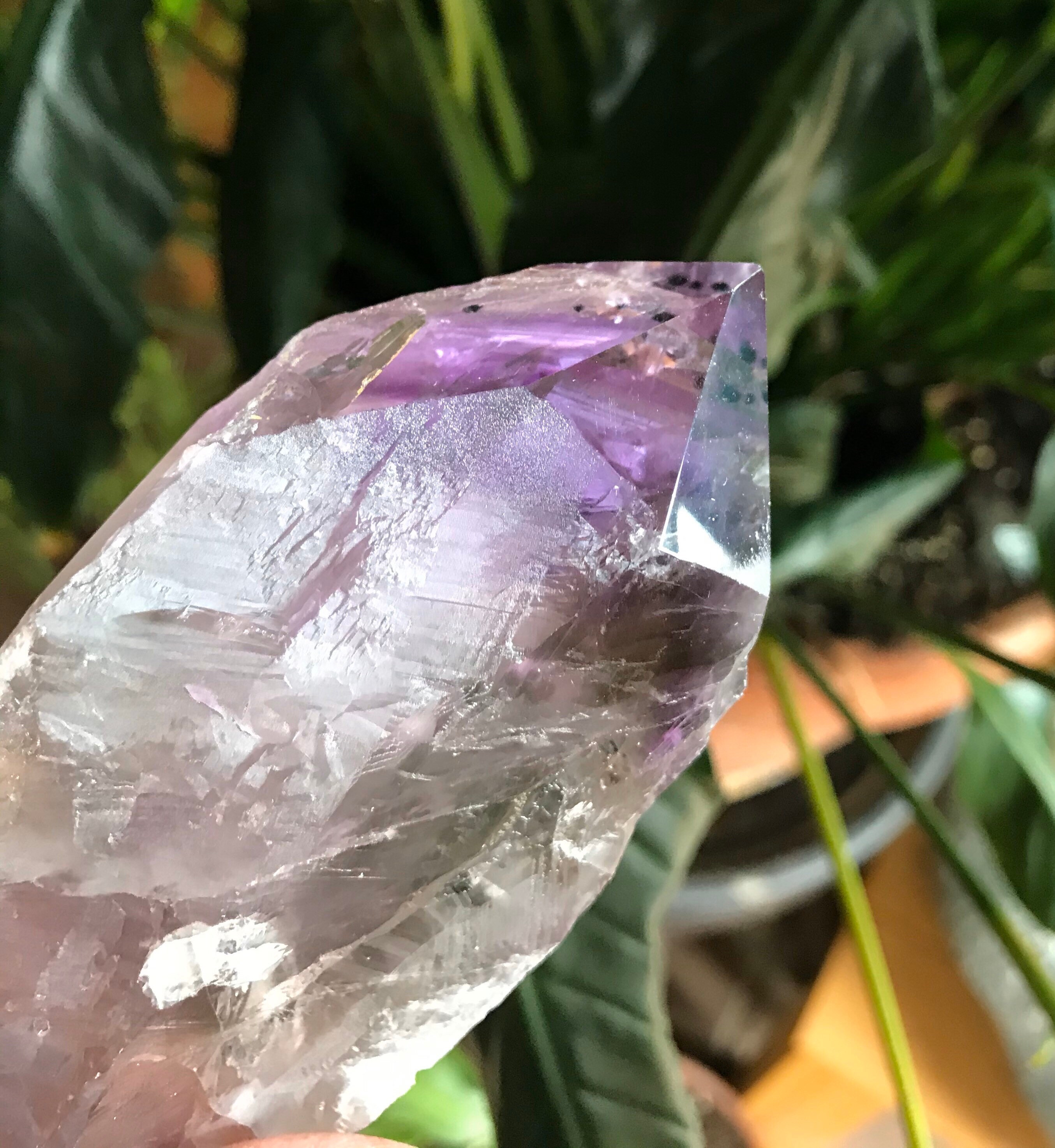 10.25 Violet Flame Amethyst Elestiated DT ET, 1 LB (-) Raw, Brazil, 402 ...