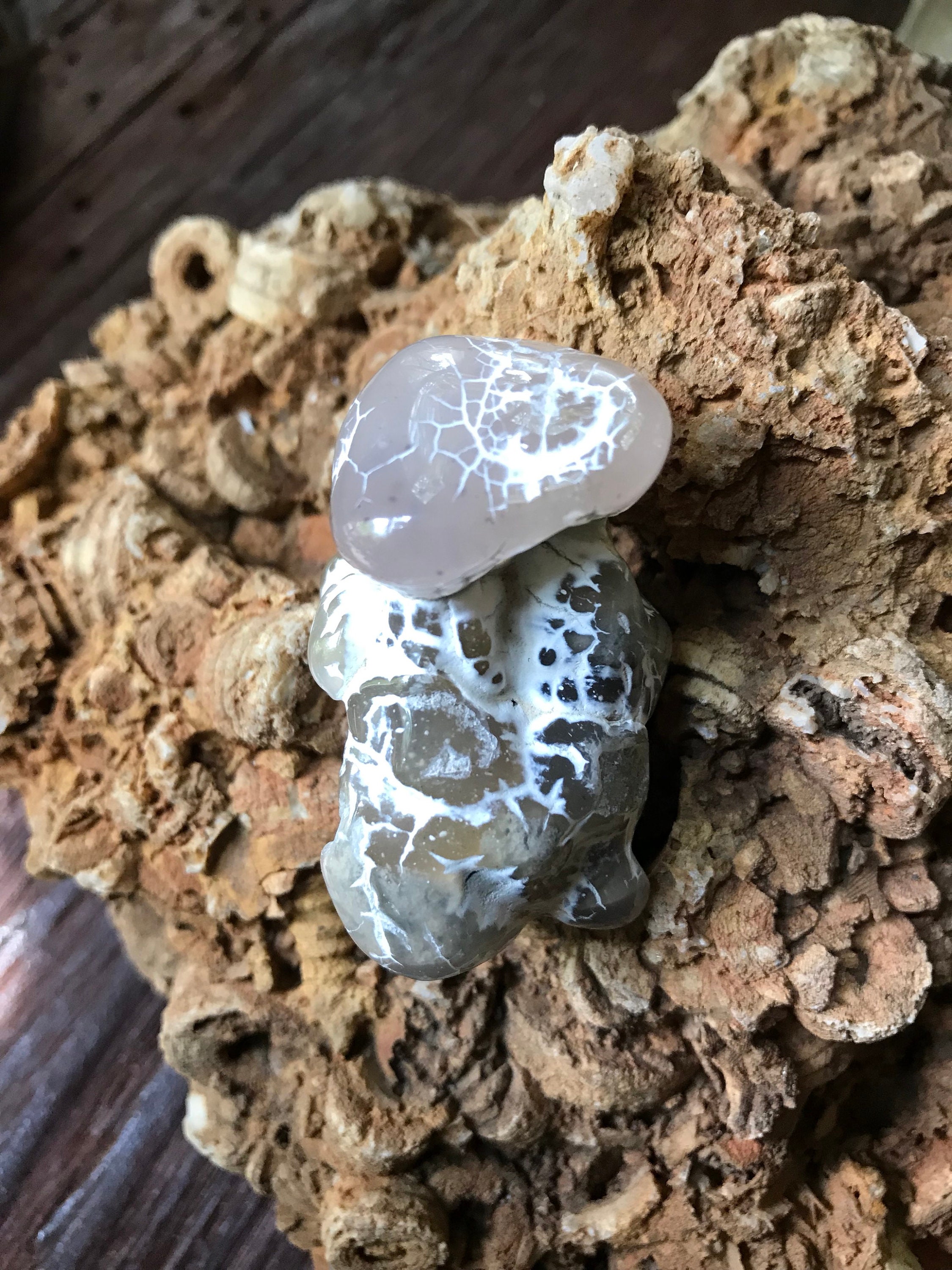 SNAKESKIN AGATE, Palm Stone, Polished, 35.6 Grams, Oregon, CR3832