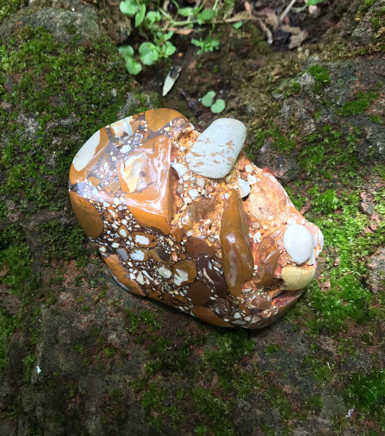 1/3 LB Pudding Stone, Conglomerate, Tennessee, 150.2 Grams, 5.30 Ounces ...