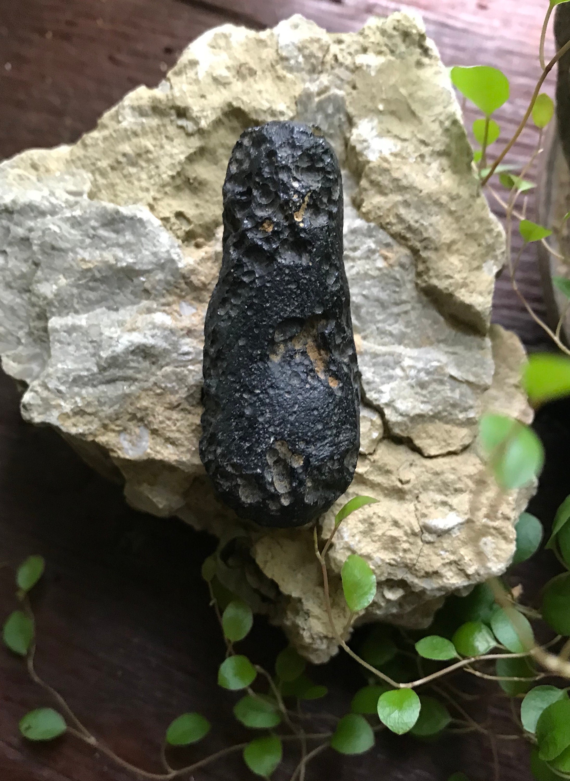 TEKTITE, Raw and Natural Meteorite Fragment, Indonesia, 34.8 Grams, CR3774