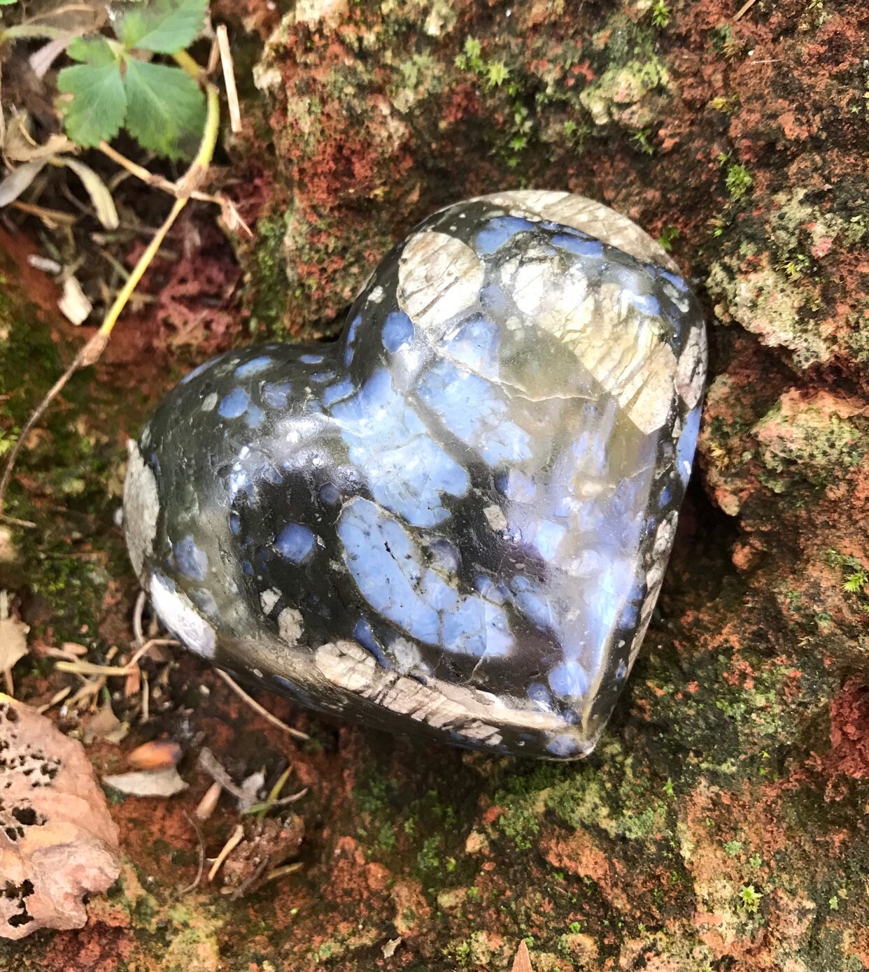 Sold to mommachick 11/22* Llanite, Que Sera Stone, Polished Heart ...