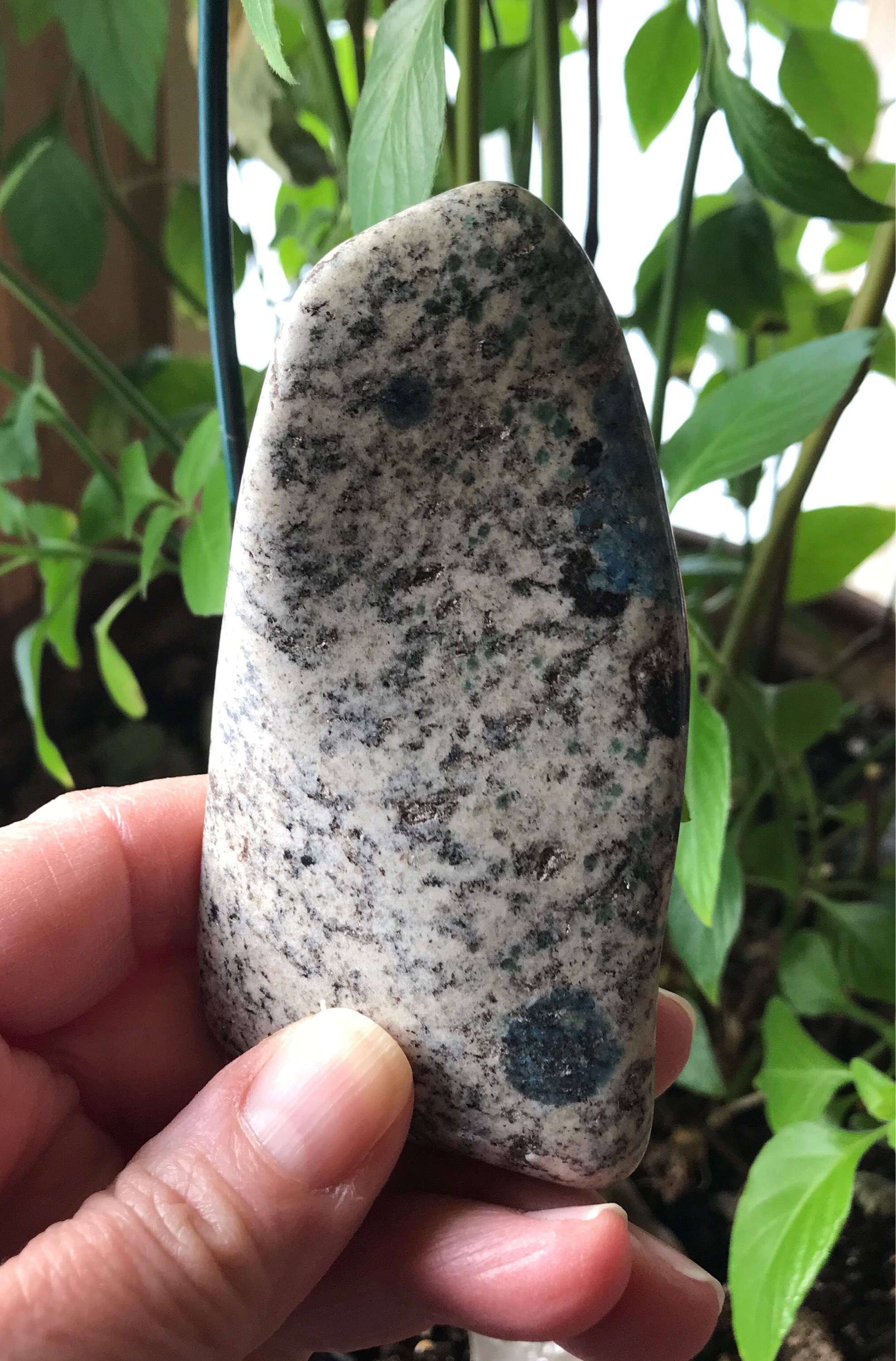 K2 Palm Stone, Azurite and Malachite in Granite, K2 Mountain, Pakistan ...