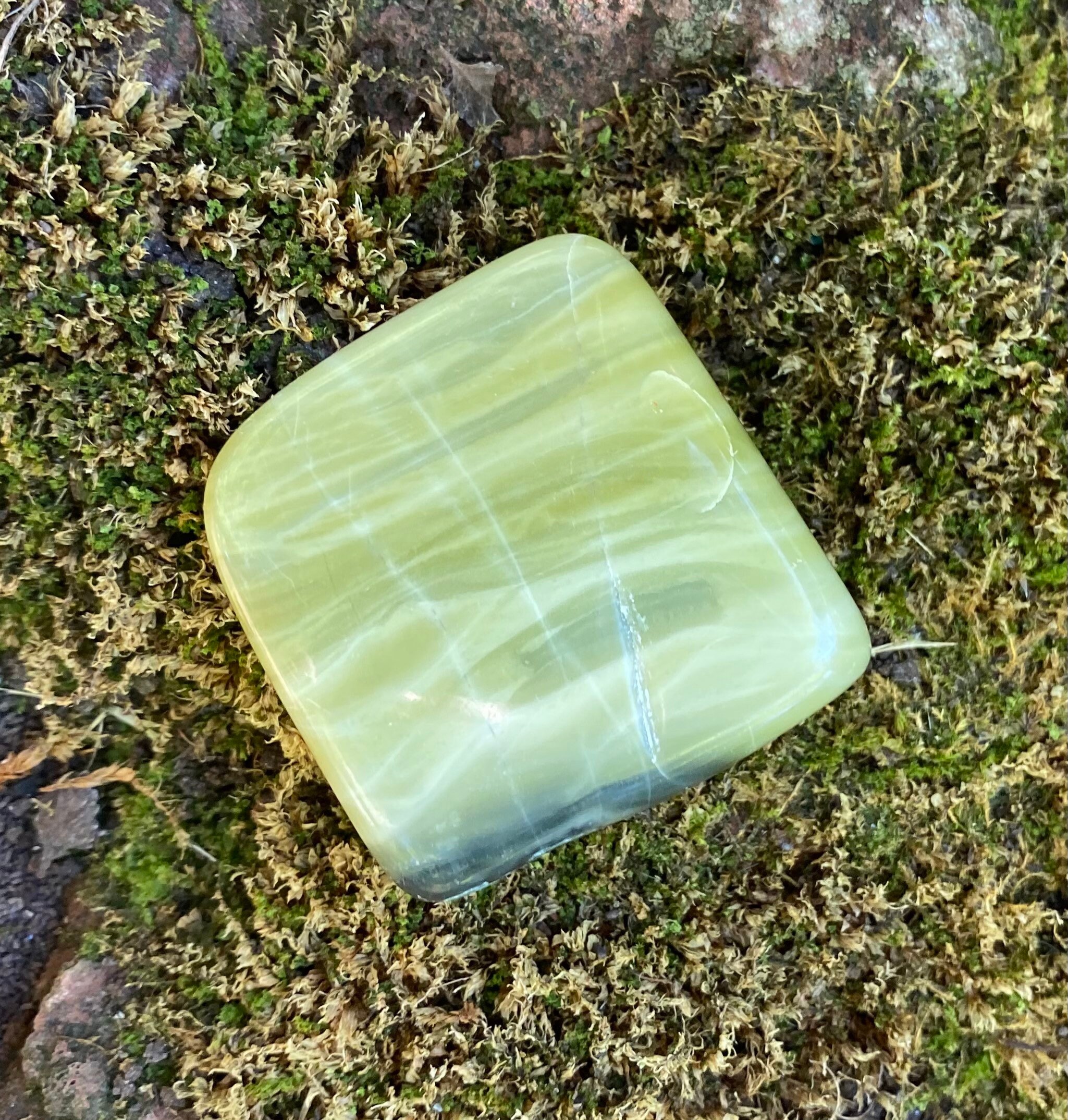 BUTTERSTONE, Older than the Dinosaur, Africa, 54.20 Grams, CR10521