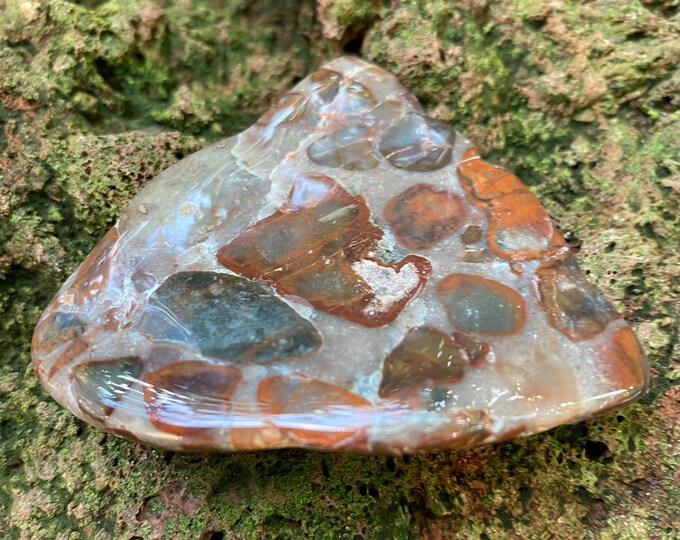 =A FEW POLISHED STONES= - TerraSolace