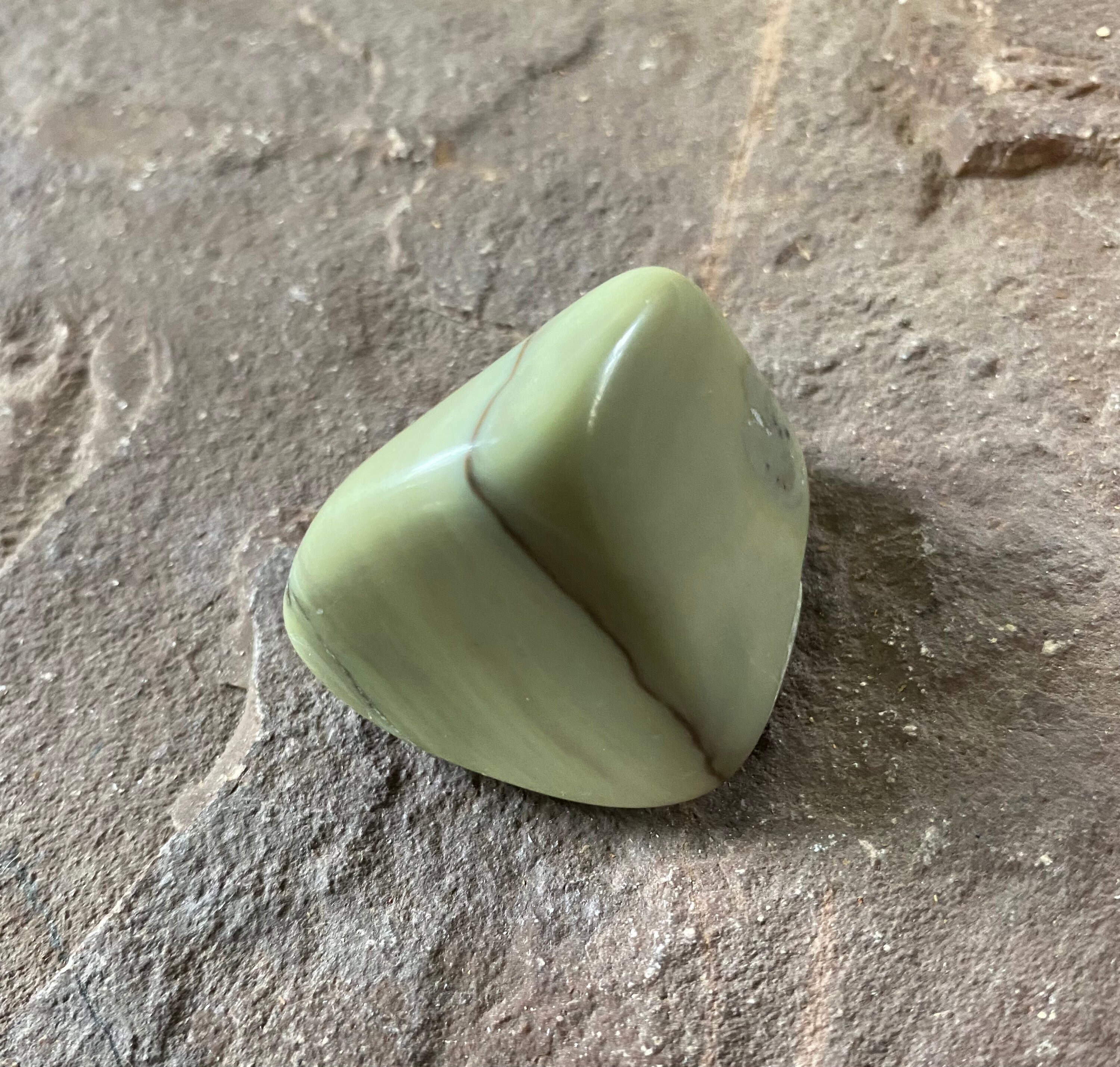 BUTTERSTONE, Older than the Dinosaur, Africa, 38.60 Grams, CR10569