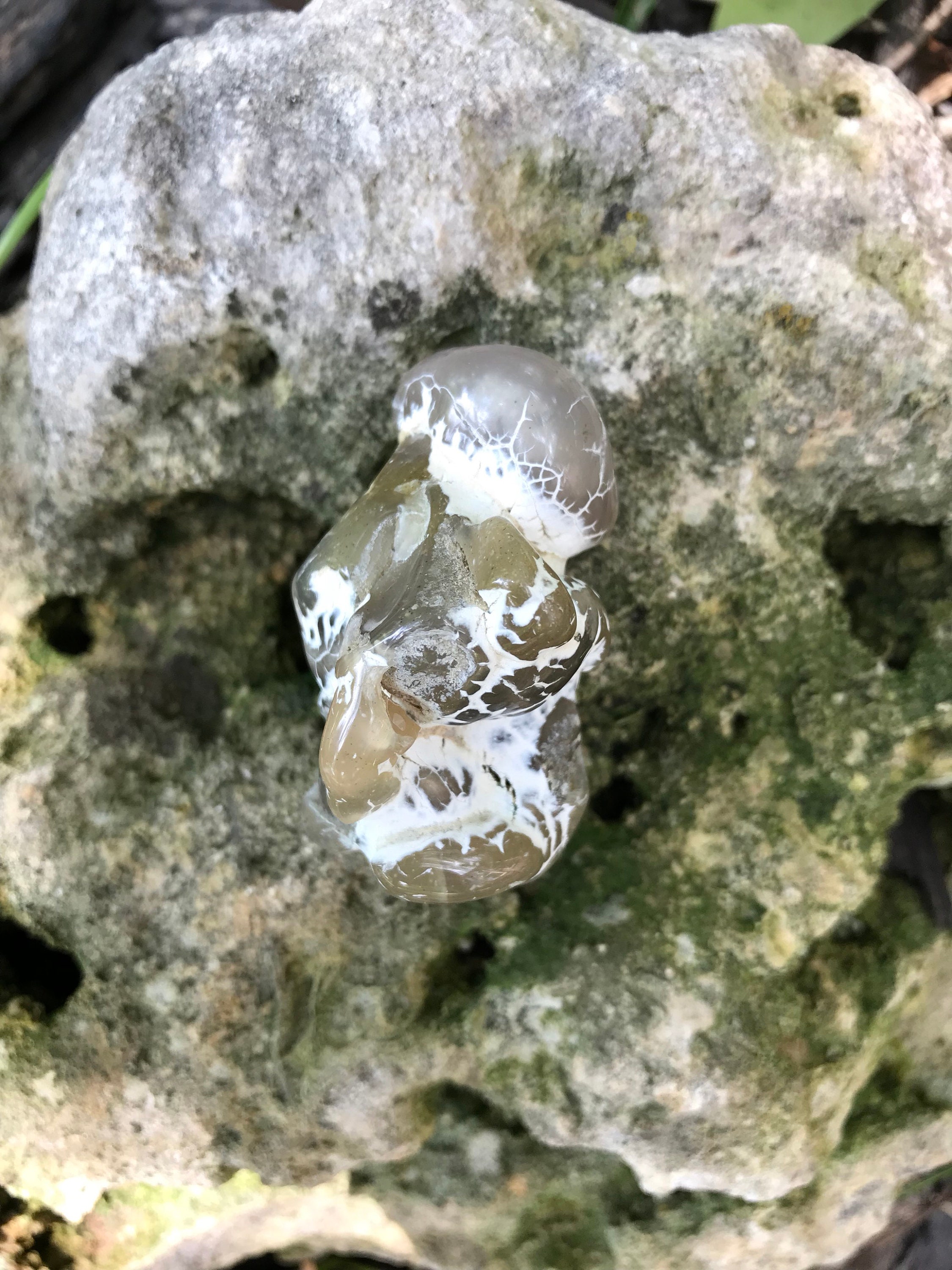 SNAKESKIN AGATE, Palm Stone, Polished, 35.6 Grams, Oregon, CR3832