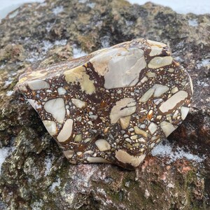 Pudding Stone, 1 LB+ Free Form, Polished Standing Conglomerate Stone ...