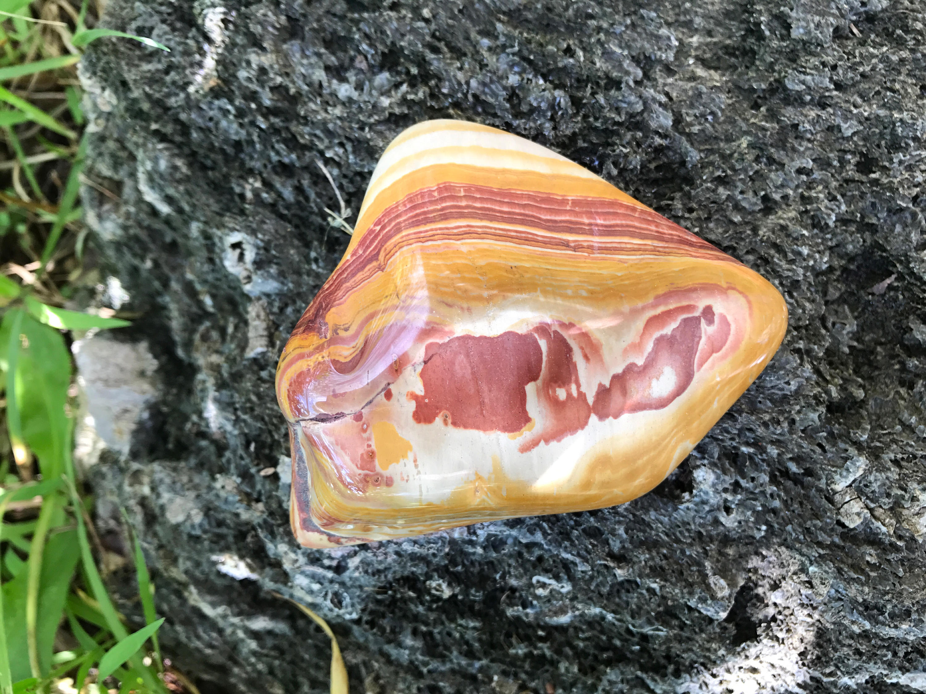 Wonderstone Jasper, 113.5 Grams, Nevada, CR2225