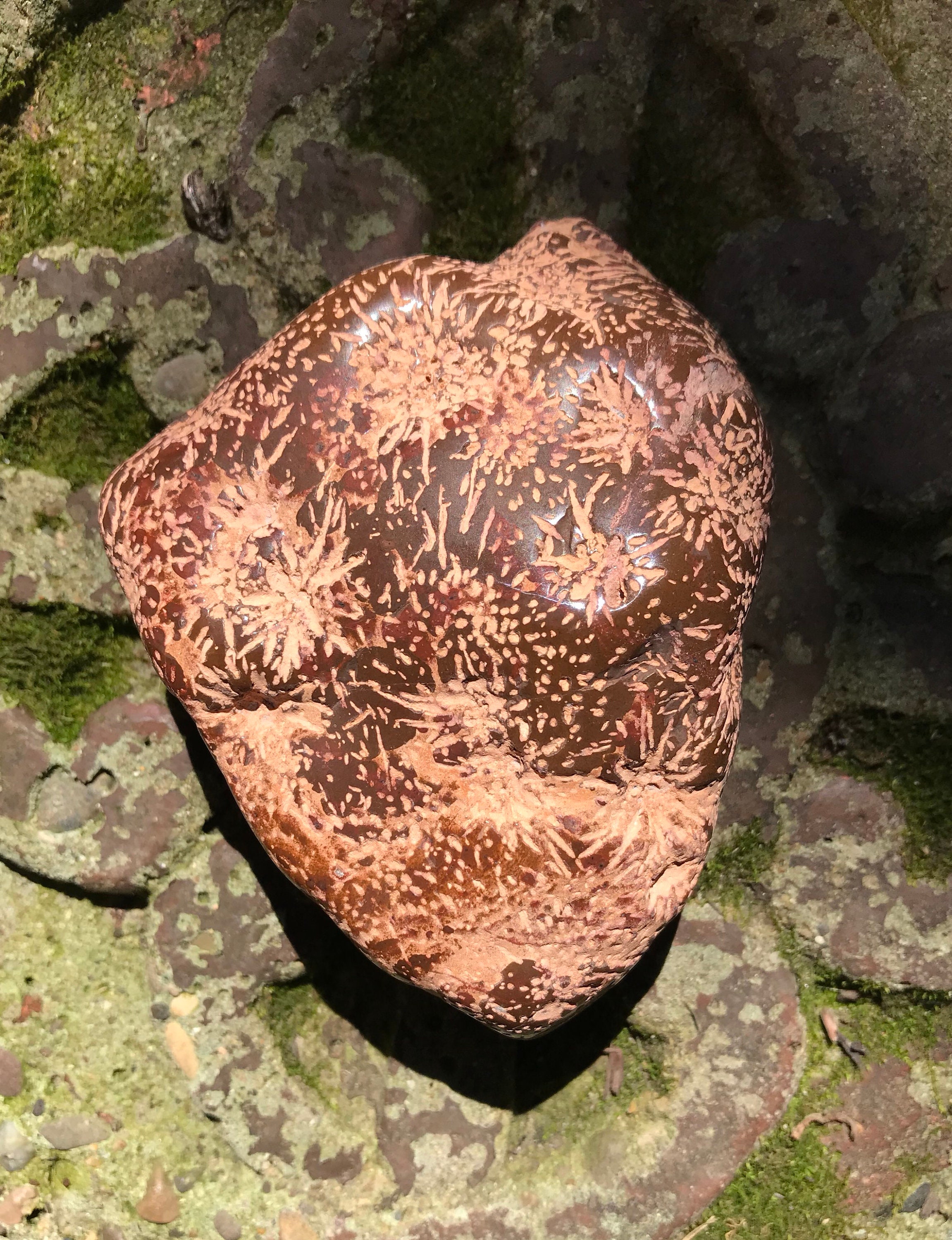 1/2 LB Starburst Jasper, Large Palm Stone, Mexico, 282.5 Grams, 10 ...