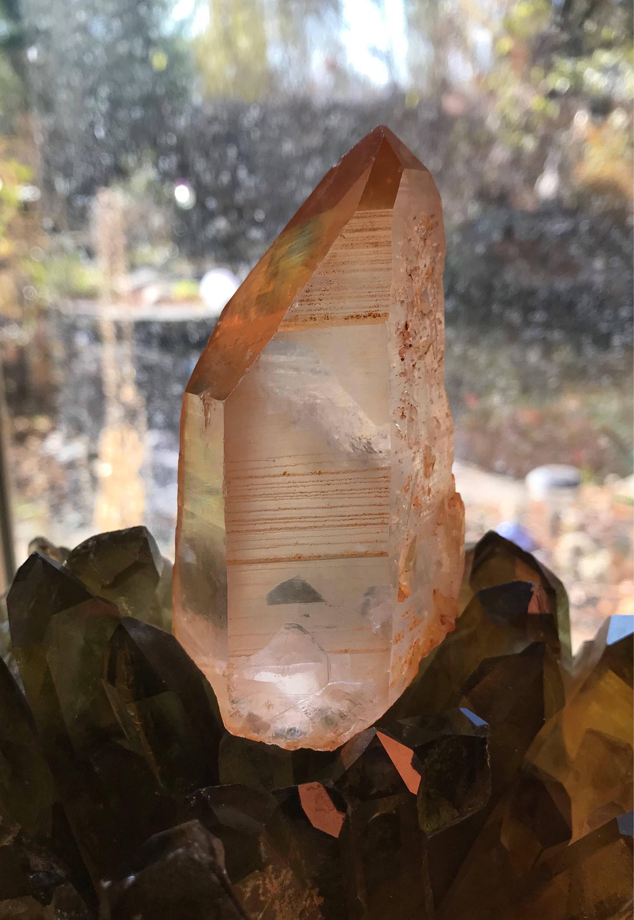 LEMURIAN Seed Quartz Crystal, Large, Raw, Orange, Bridge Crystals, Mine ...