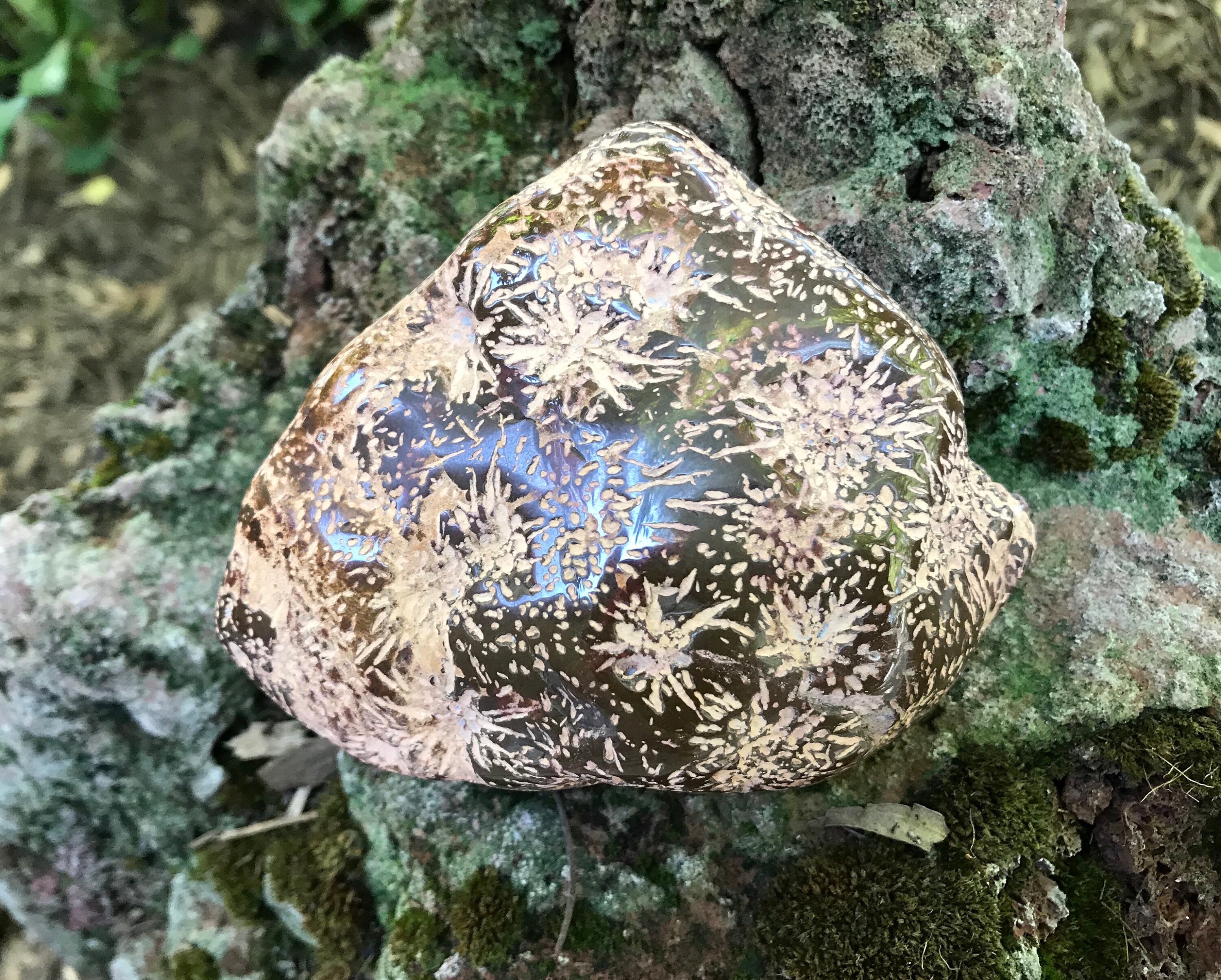 1/2 LB Starburst Jasper, Large Palm Stone, Mexico, 282.5 Grams, 10 ...