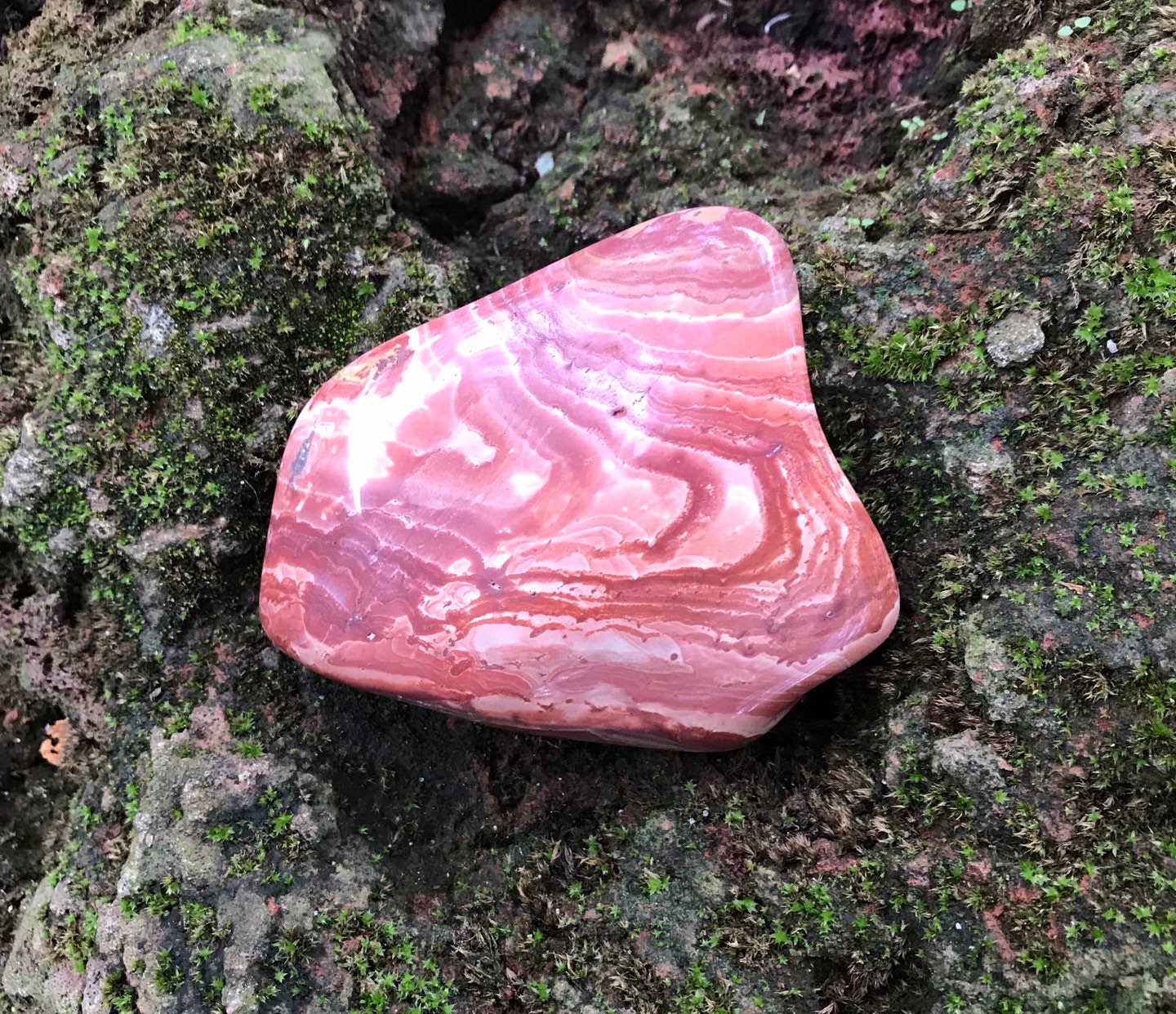 Wonderstone Jasper, Large Palm Stone, Nevada, 156.50 Grams, CR5993