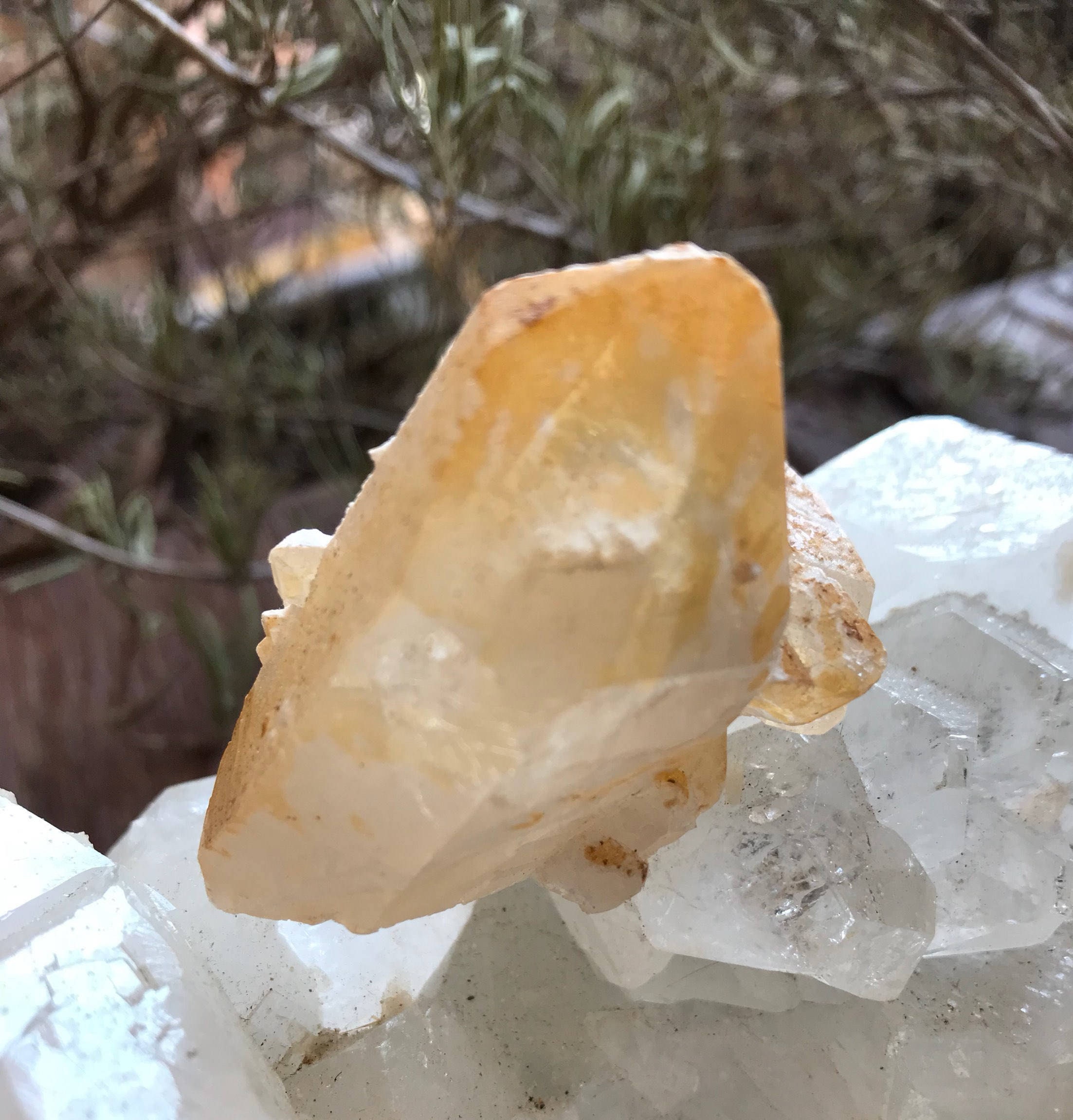 Lemon Healer, Golden Healer, DT Raw, Bridge Crystals, Rainbows ...