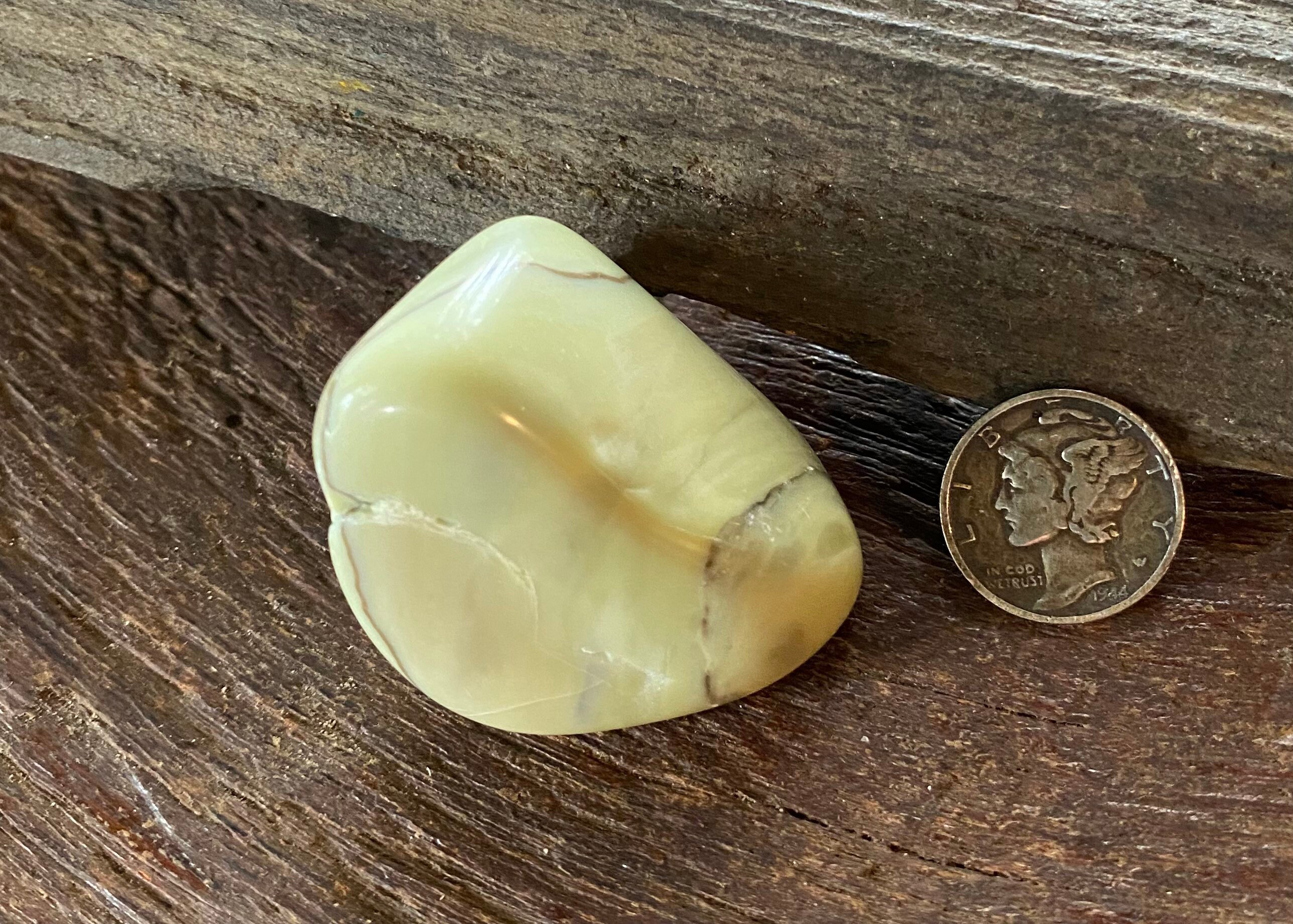 BUTTERSTONE, Older than the Dinosaur, Africa, 38.60 Grams, CR10569