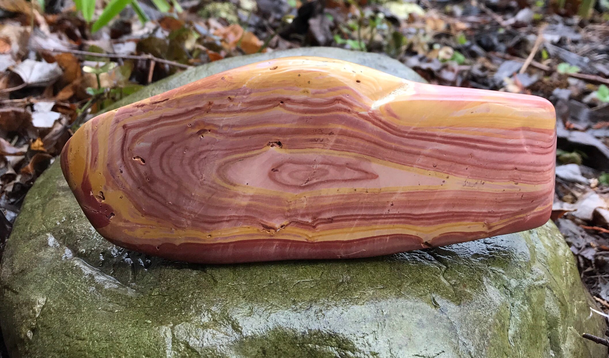 1.25 LBS Wonderstone Jasper, X-Large Display Stone, Nevada, 582.1 Grams ...