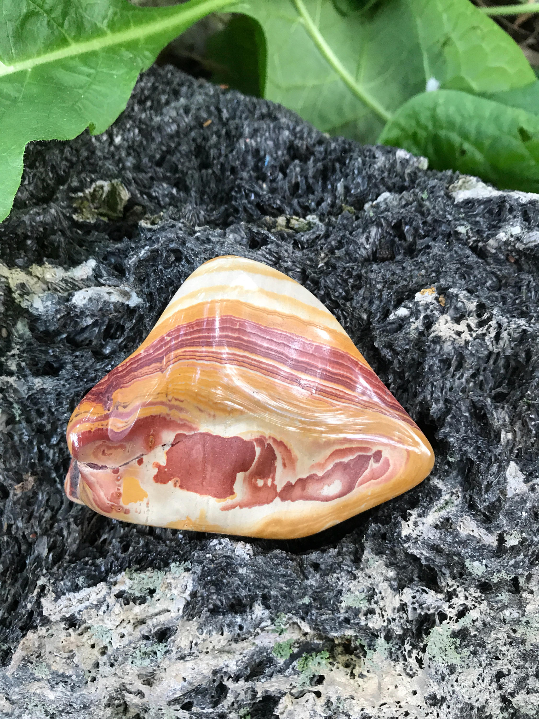 Wonderstone Jasper, 113.5 Grams, Nevada, CR2225