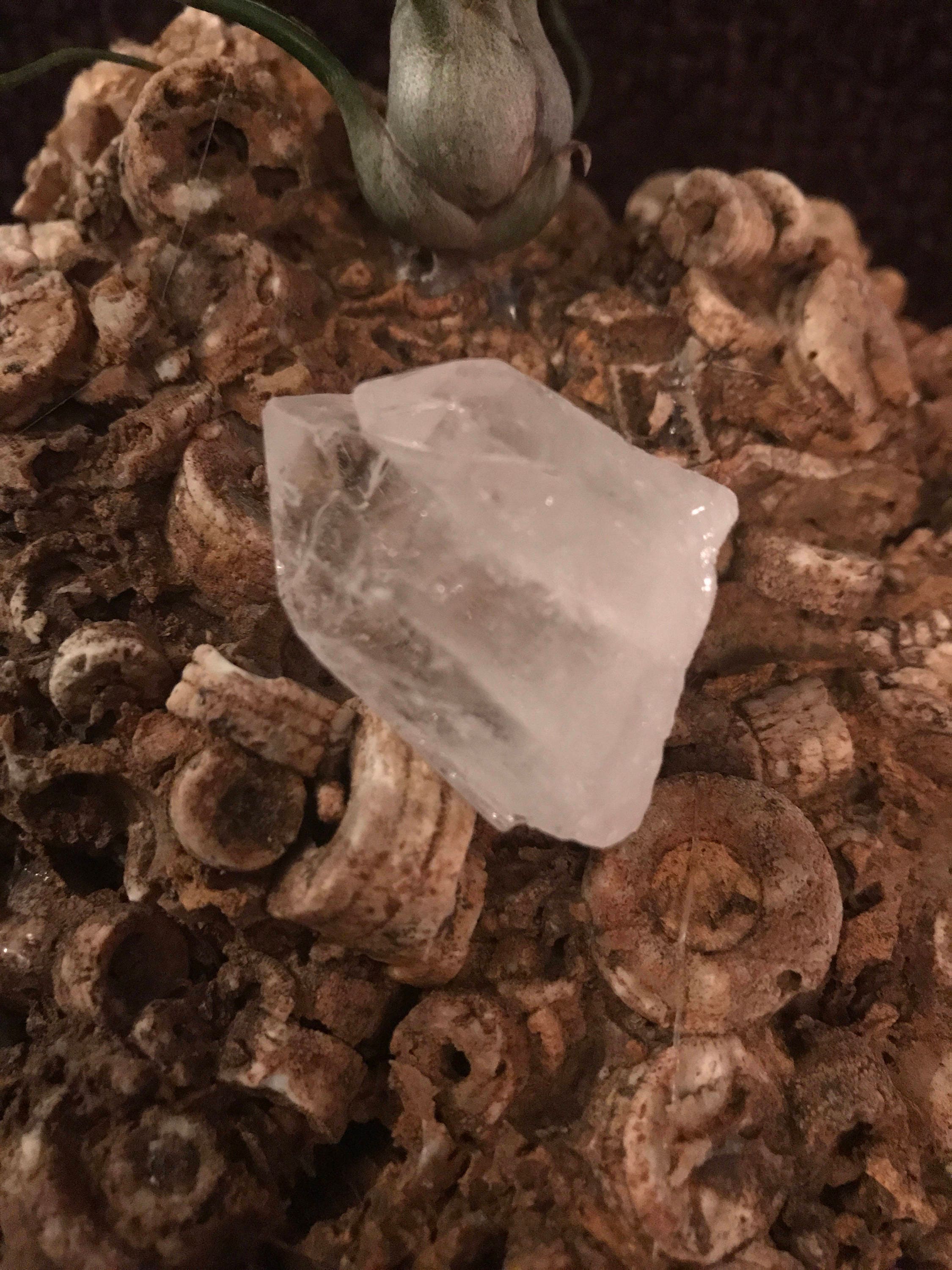 Clear Raw Quartz Twin Crystal, 25.7 Grams, CR1688
