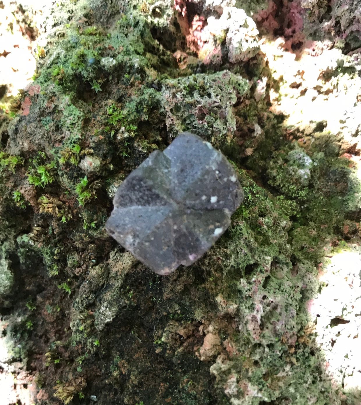 Fairy Stone Cross, Staurolite, Cruciform Twinning, New Mexico, 9.2 ...