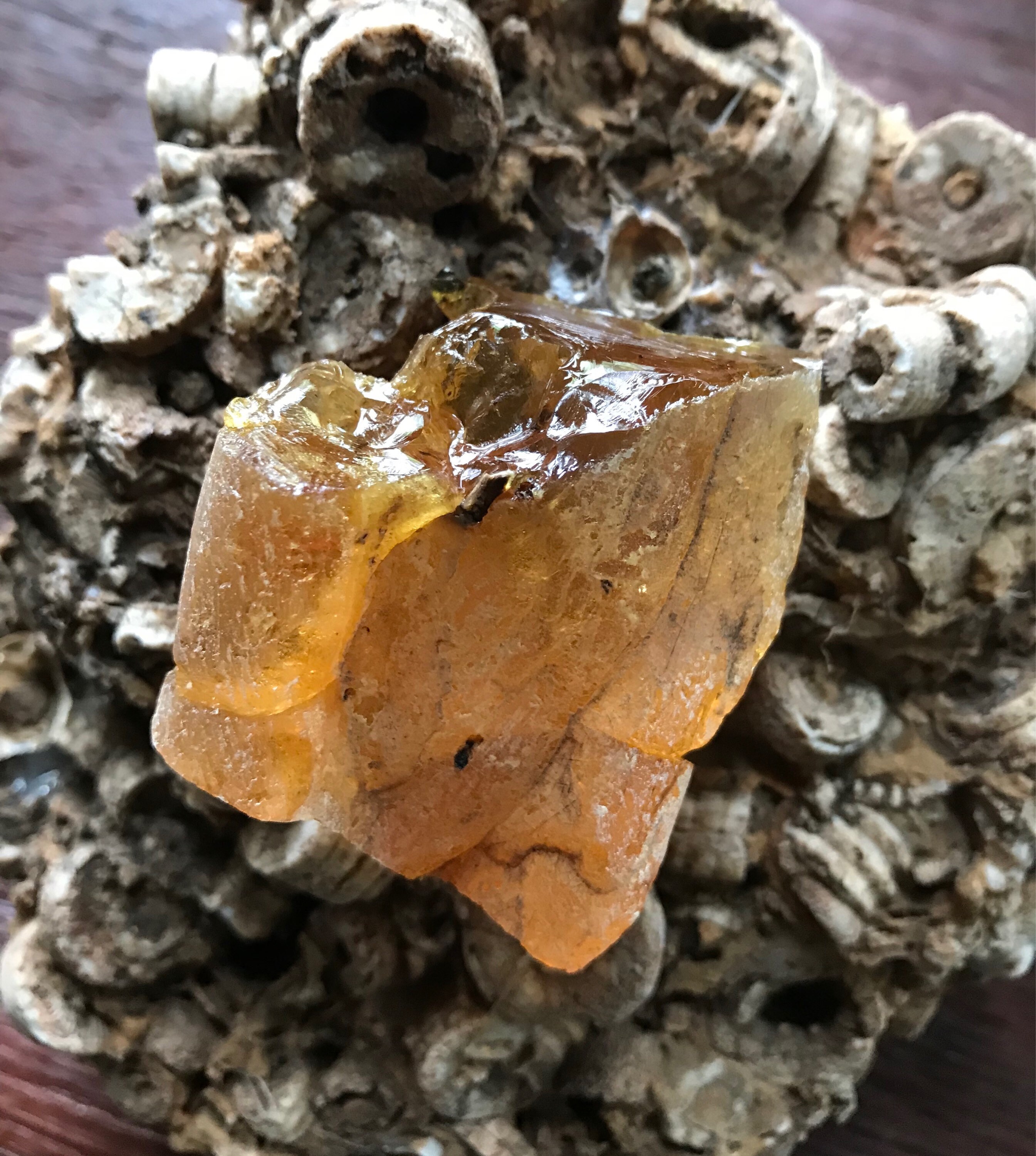 Raw Copal, Madagascar, 23.4 Grams, CR3597