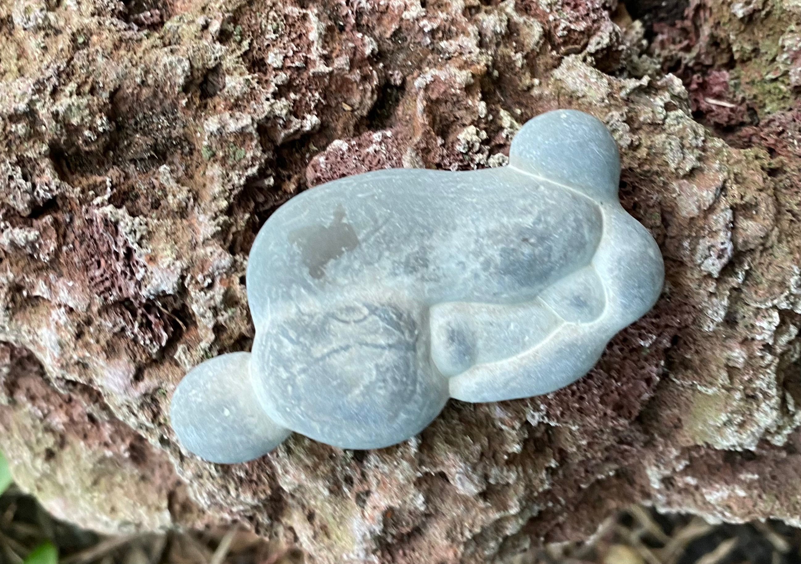 Fairy Stone, Concretion Stone, Canada, 51.20 Grams, CR10404