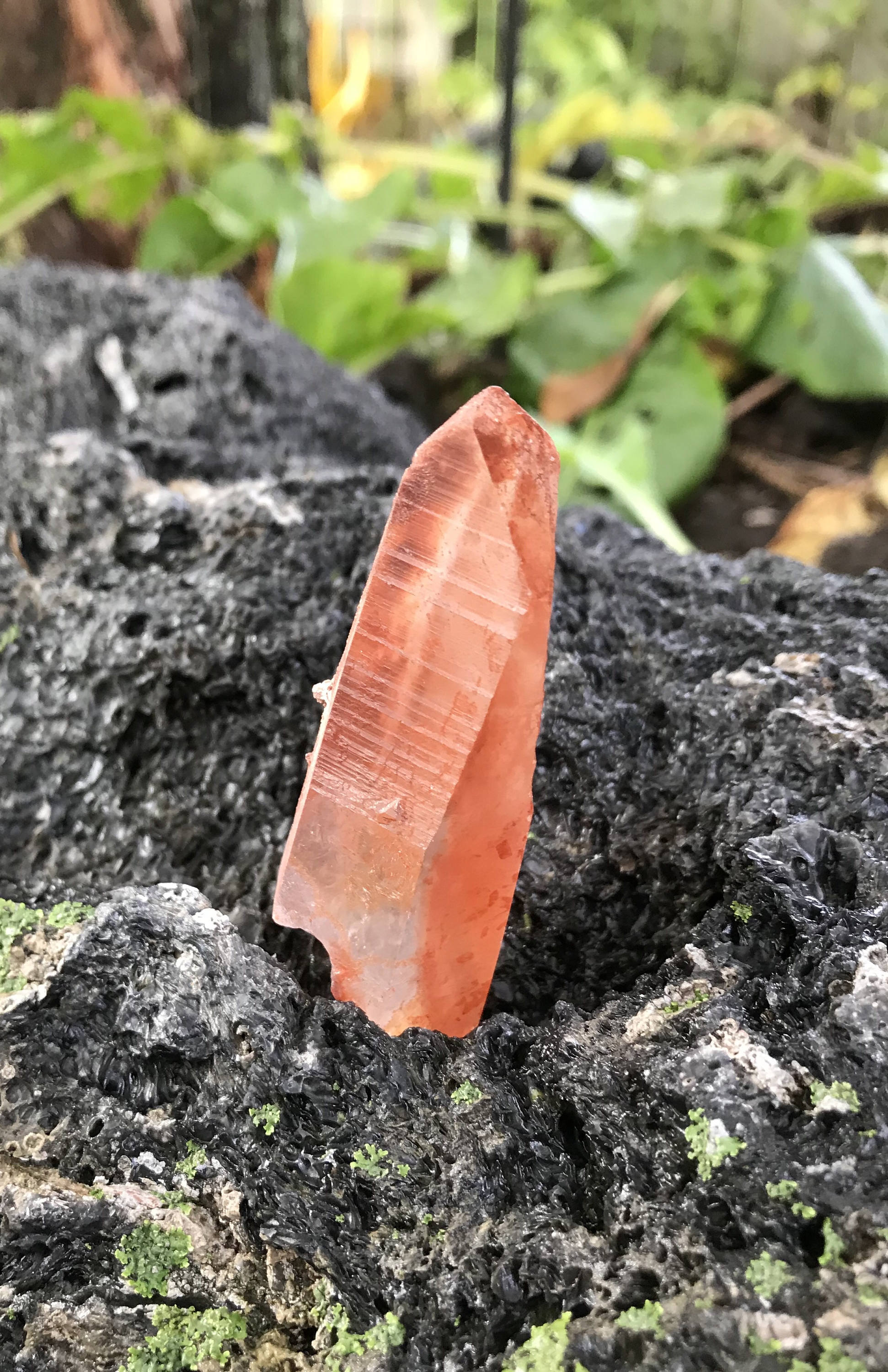 RED DRAGON Quartz, Raw, Red Hematite Coated, Morocco, 30.2 Grams, CR2490