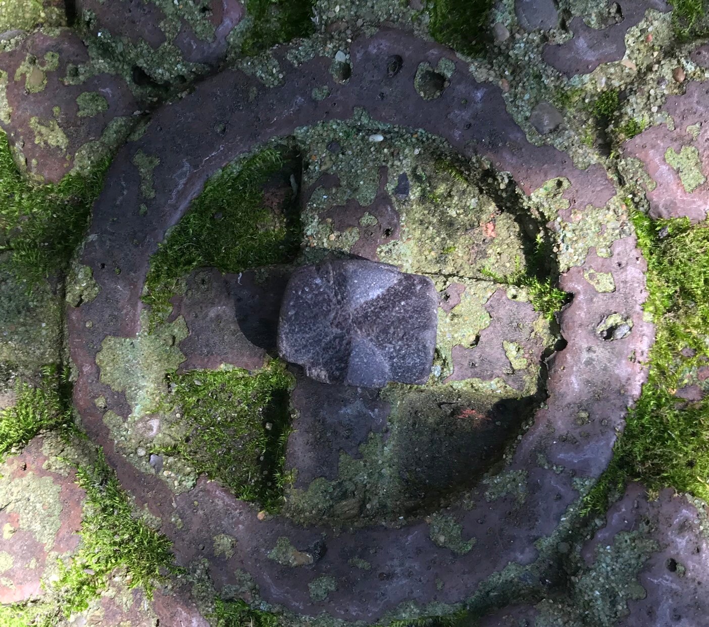 Fairy Stone Cross, Staurolite, Cruciform Twinning, New Mexico, 9.2 ...