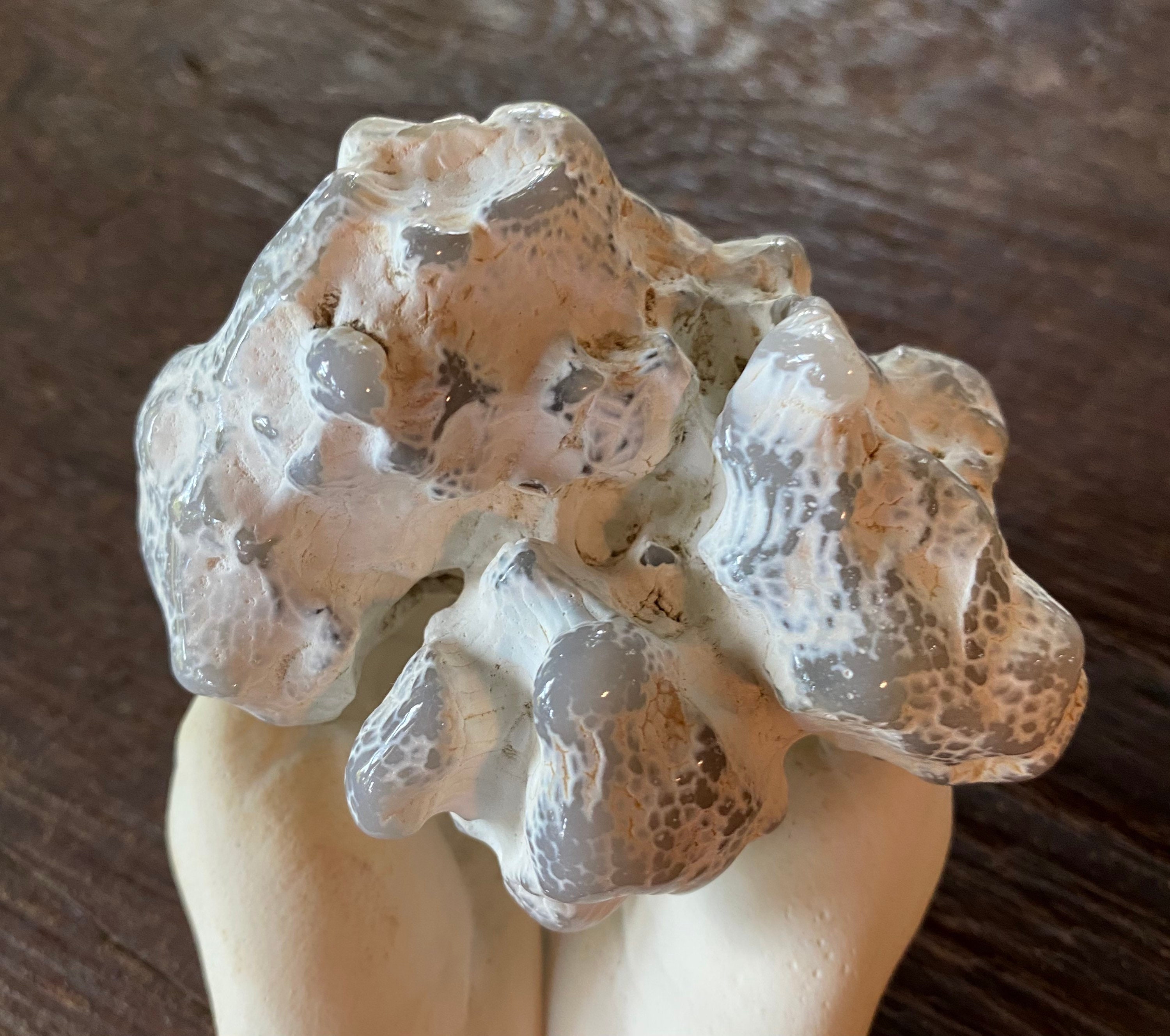 1/2 LB-SNAKESKIN AGATE, Knobby Palm Stone, Polished, 195.60 Grams ...