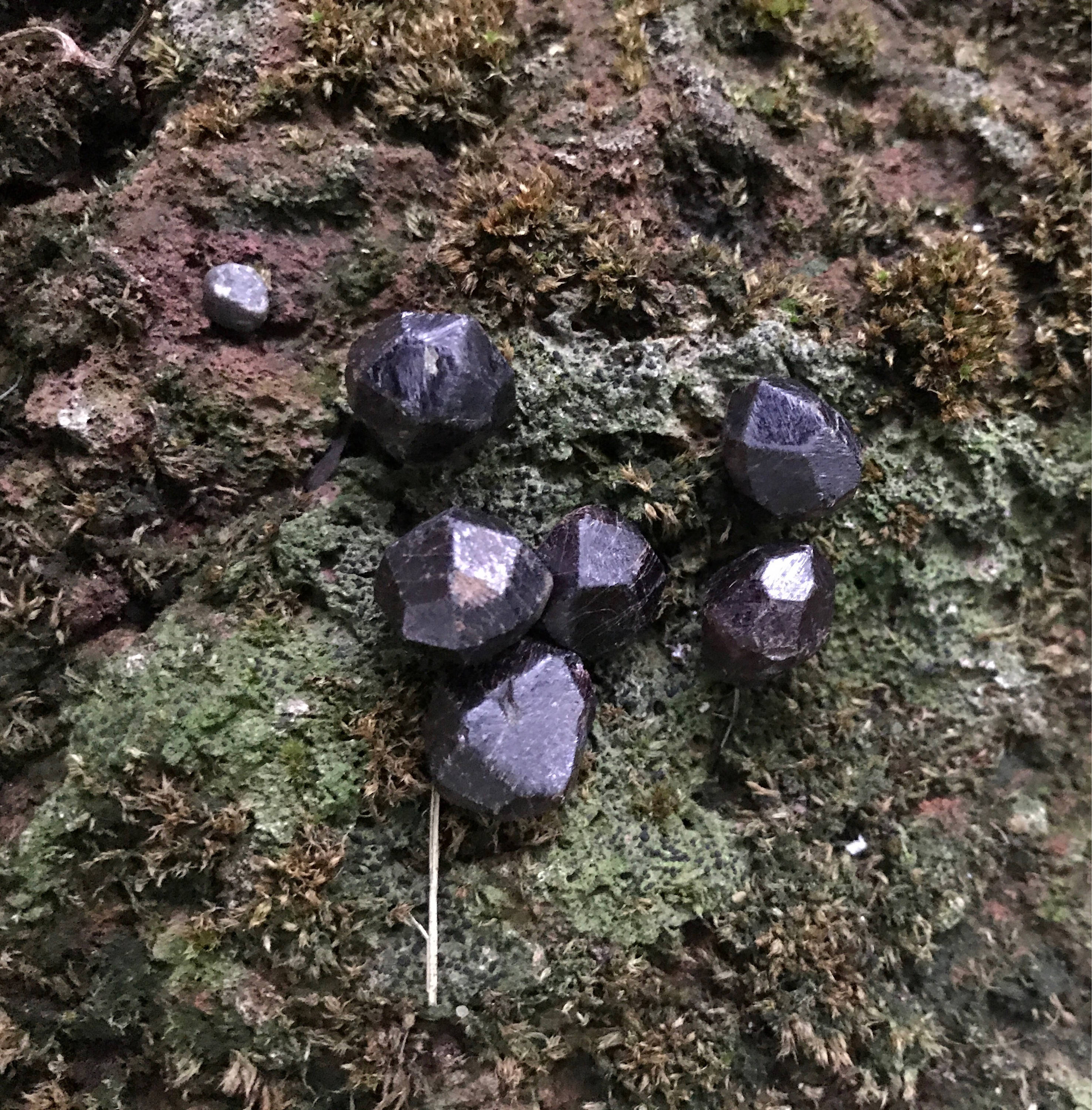 Raw Garnet Crystals, Parcel of 6, 16.1 Grams, 80.5 Carats, CR2074