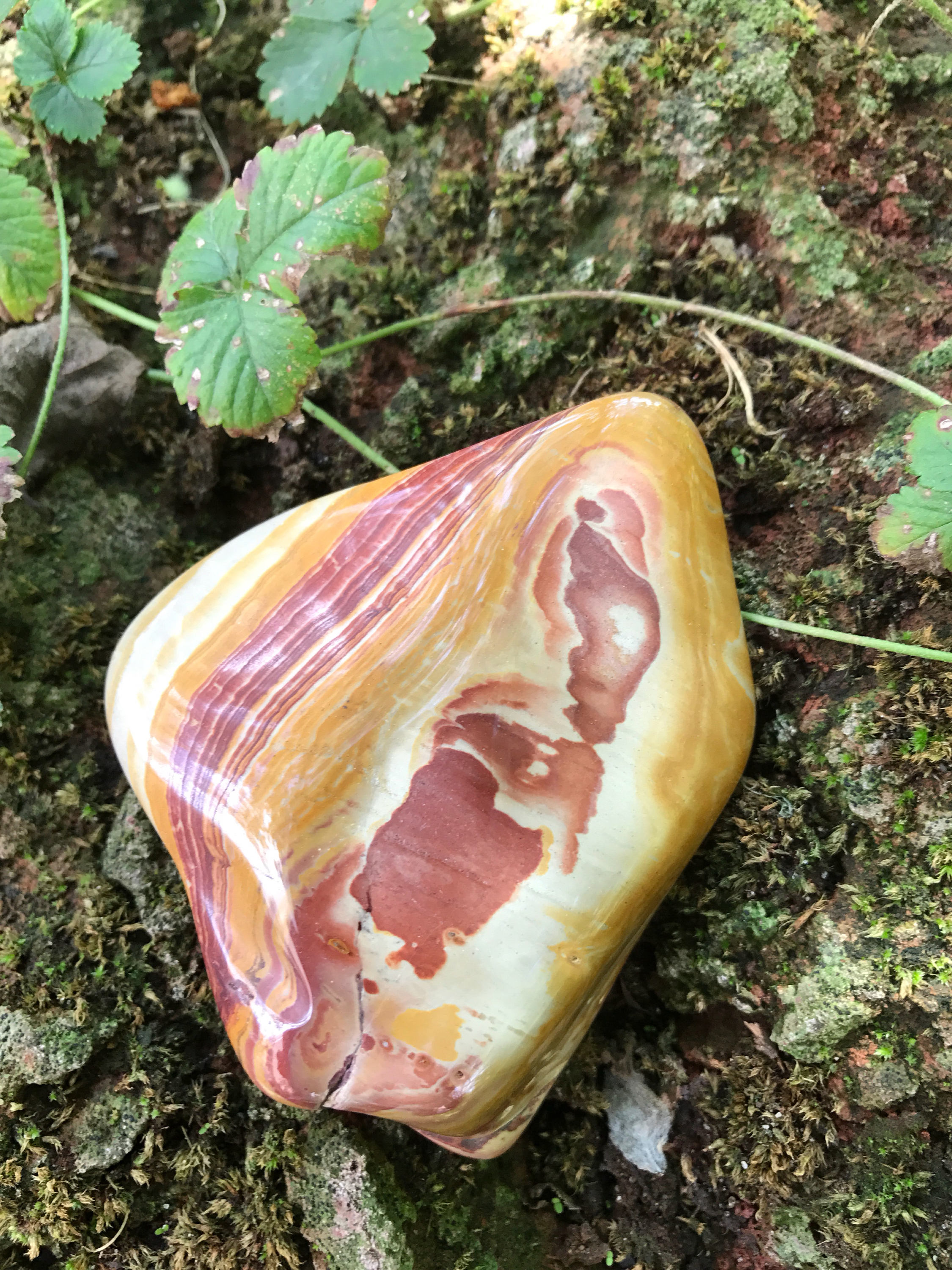 Wonderstone Jasper, 113.5 Grams, Nevada, CR2225