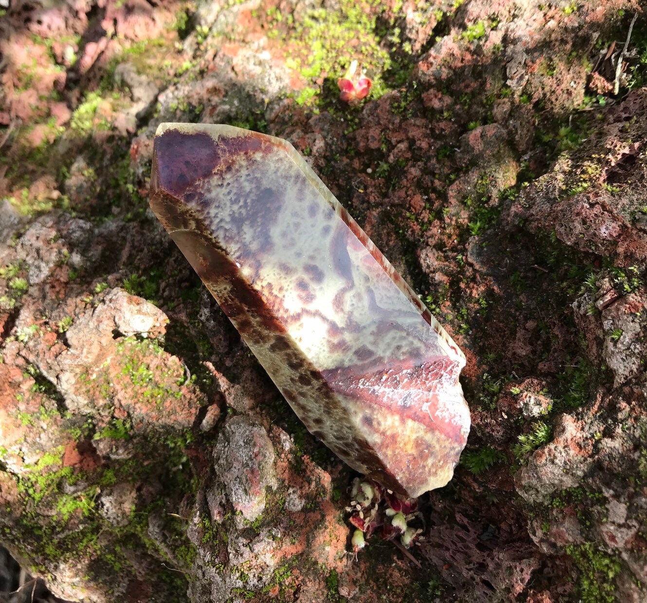 Angel Wing, Red Amphibole Phantom Tabby Quartz, Keys, Semi-Polished ...