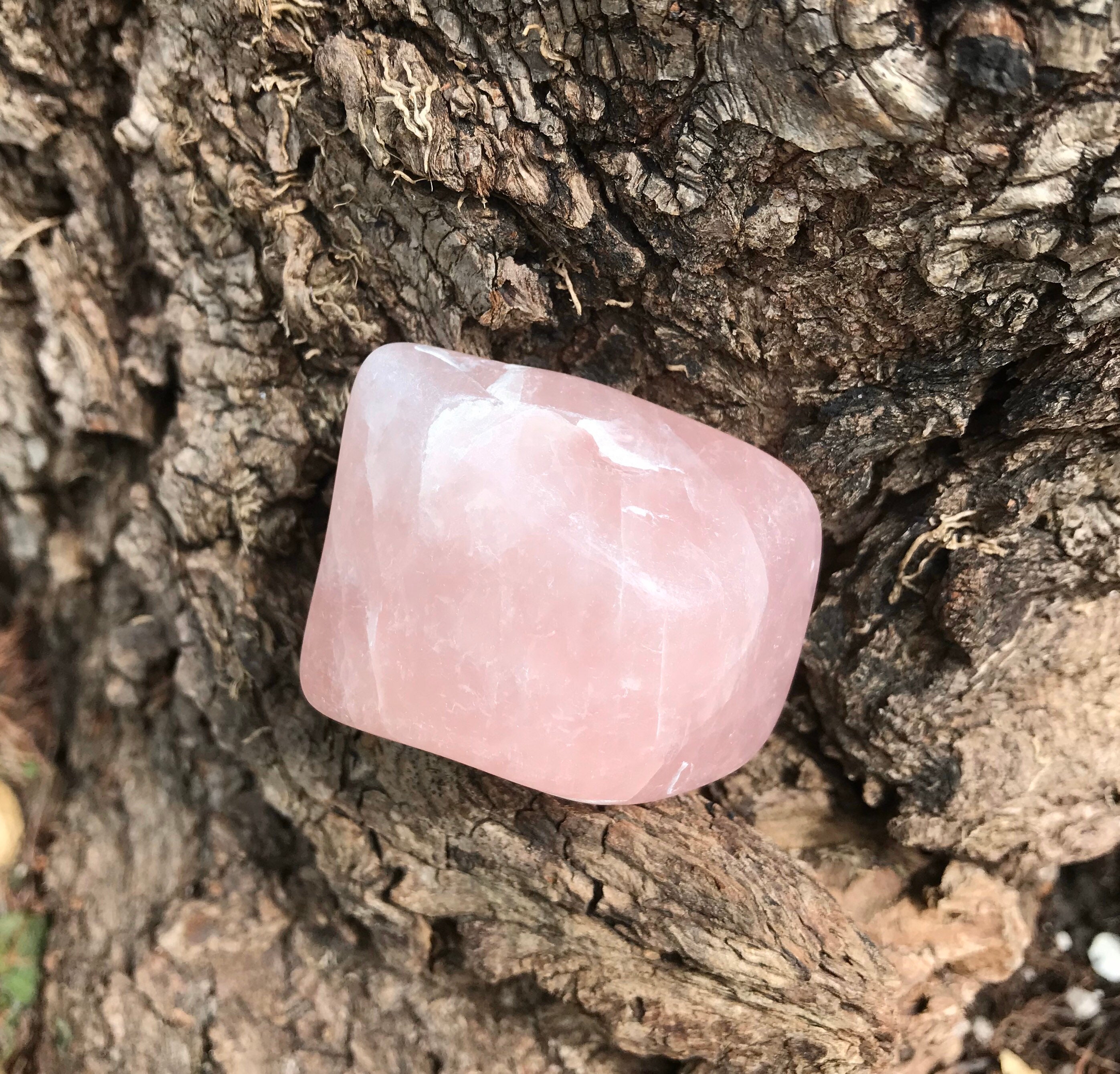 Rose Quartz, Polished Palm Stone, Madagascar, 100.80 Grams, CR6991