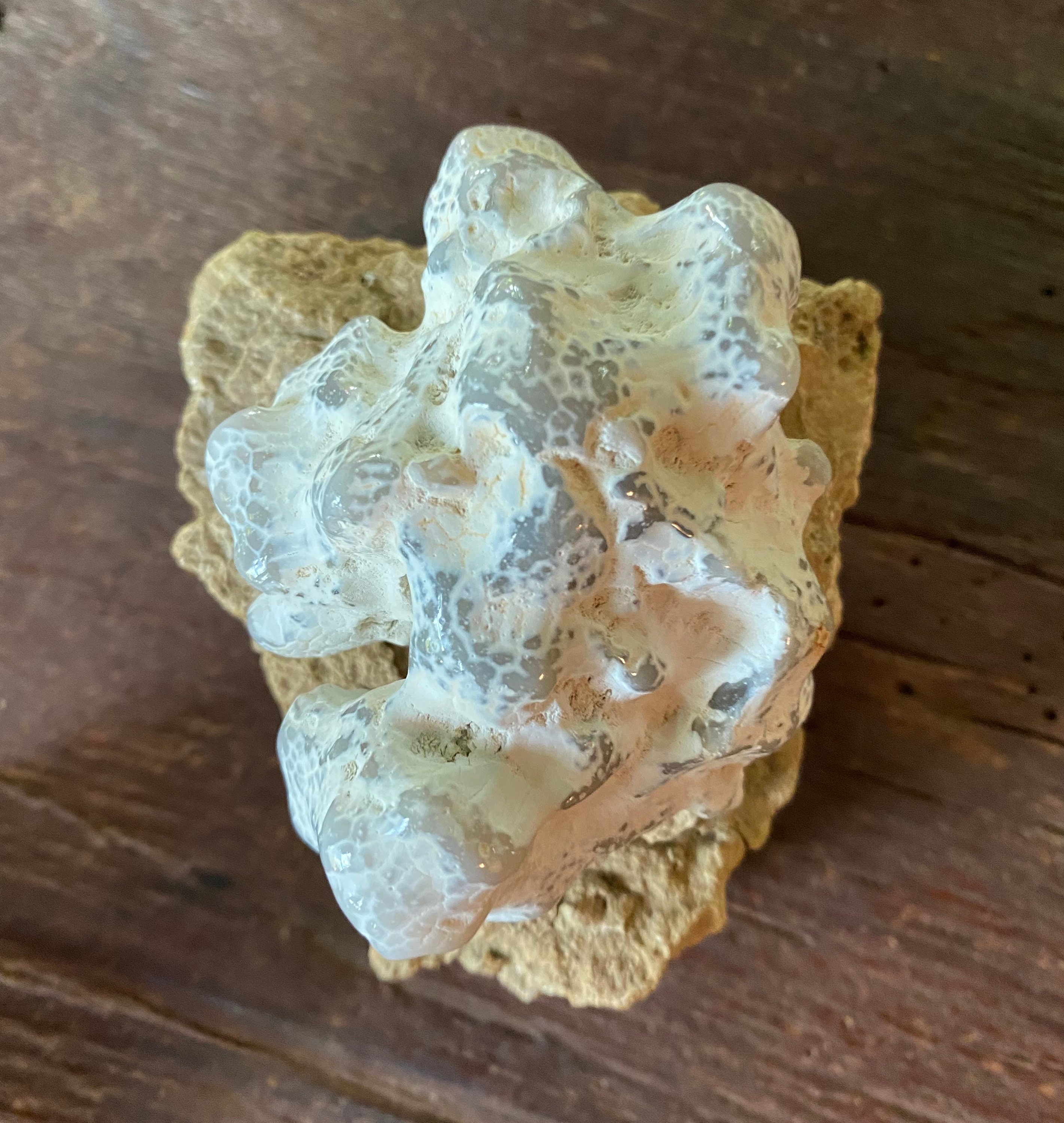 1/2 LB-SNAKESKIN AGATE, Knobby Palm Stone, Polished, 195.60 Grams ...