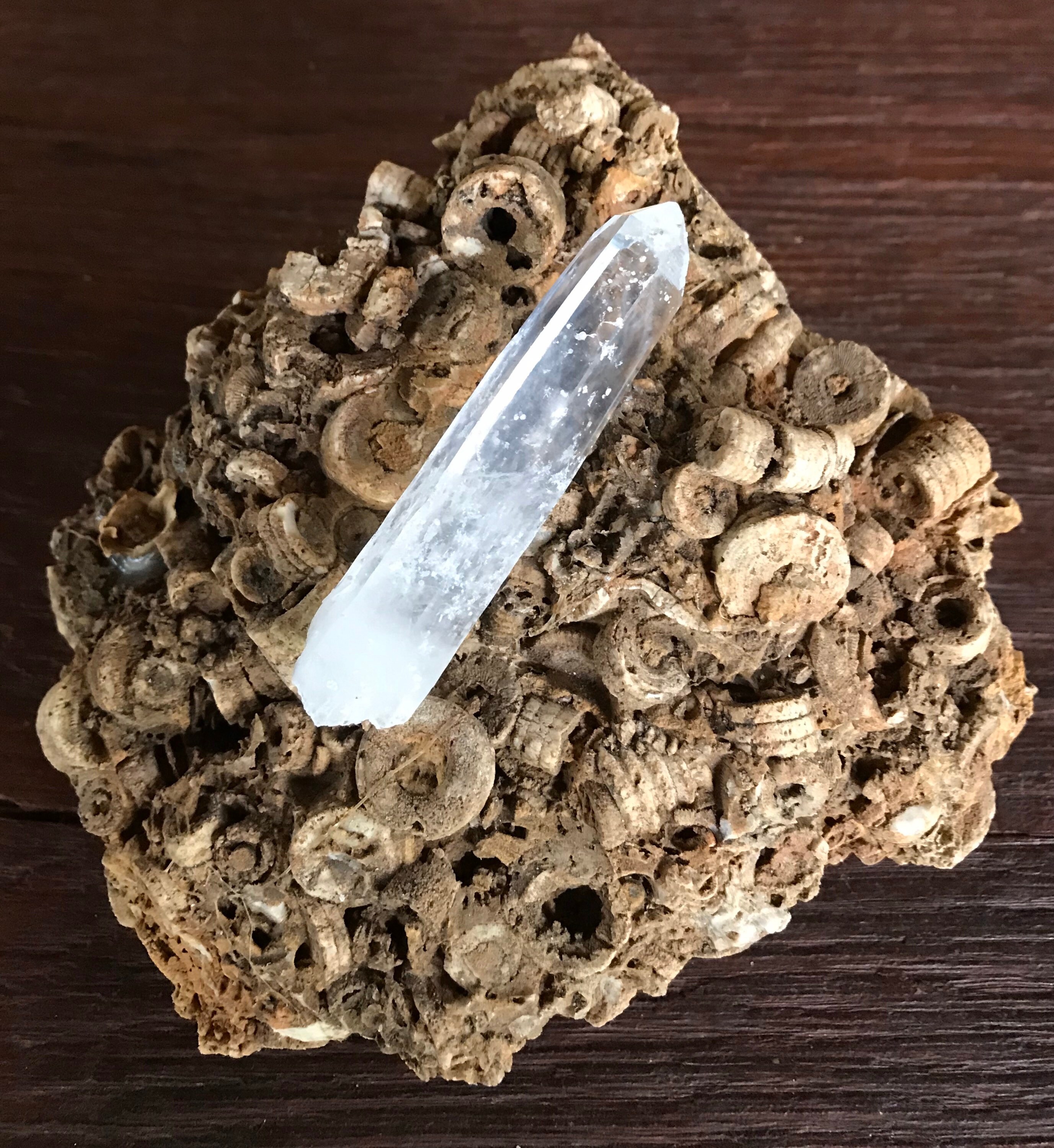 DOW Blue Mist Lemurian, Raw, Blue Mist Phantom, Colombia, 32.70 Grams ...