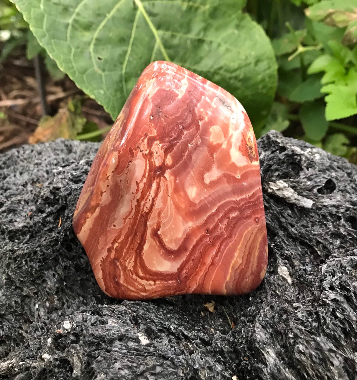 Wonderstone Jasper, Large Palm Stone, Nevada, 156.50 Grams, CR5993