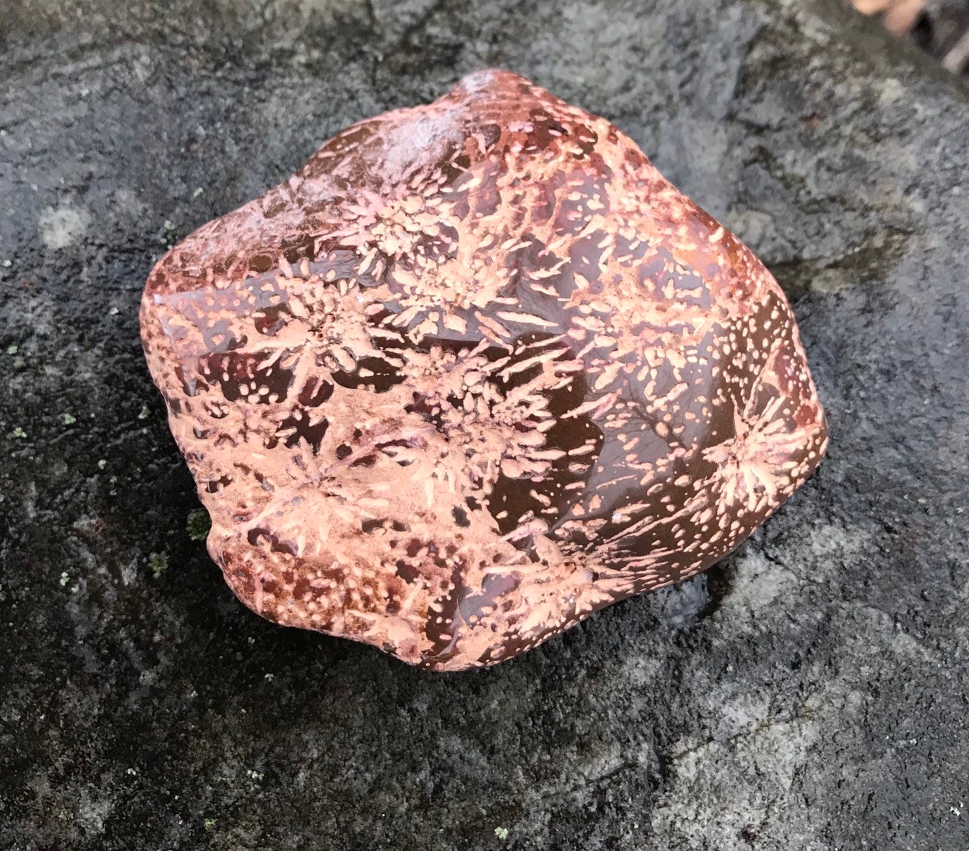 Starburst Jasper, Large Palm Stone, Polished, Mexico, 102.5 Grams, CR4753