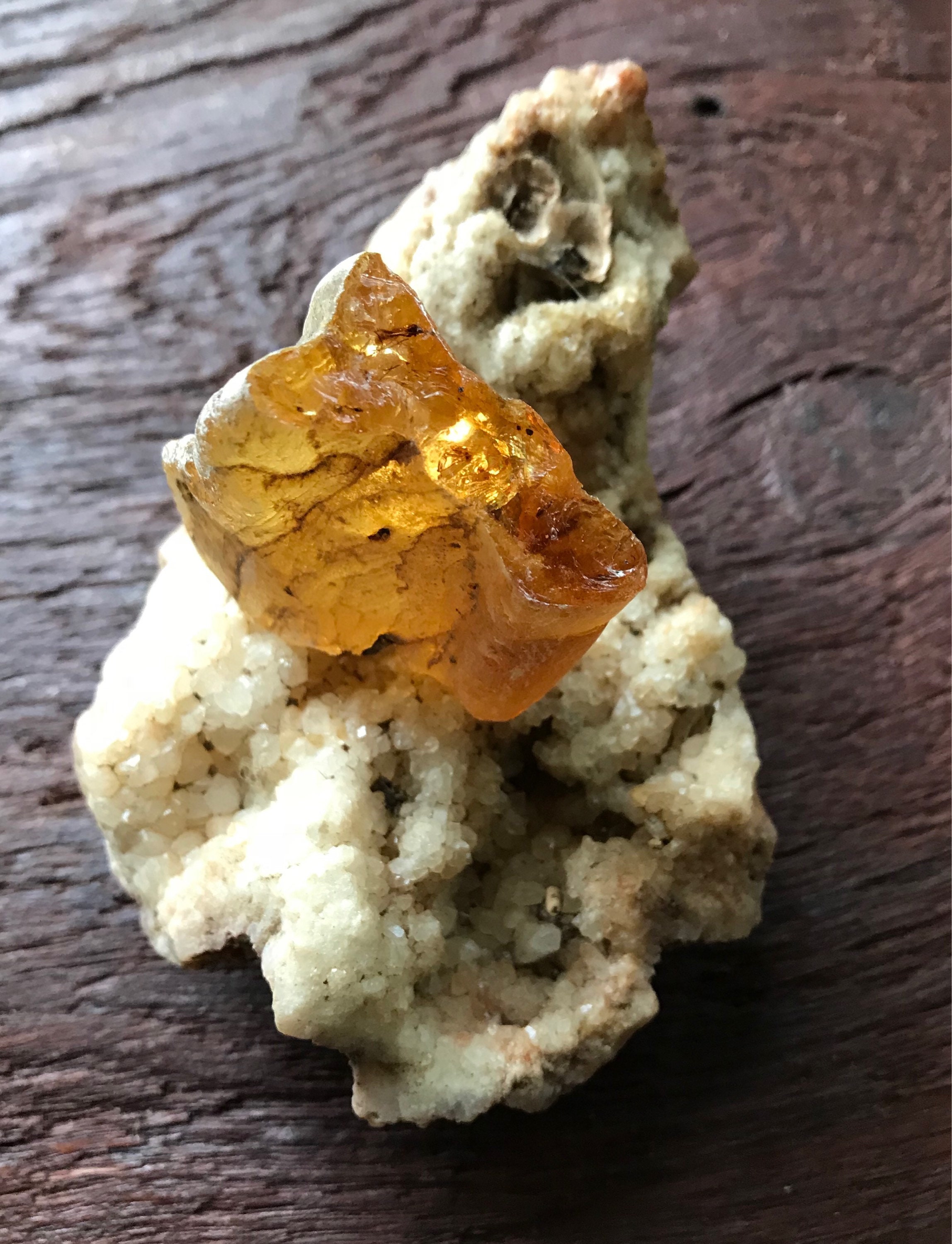 Raw Copal, Madagascar, 23.4 Grams, CR3597