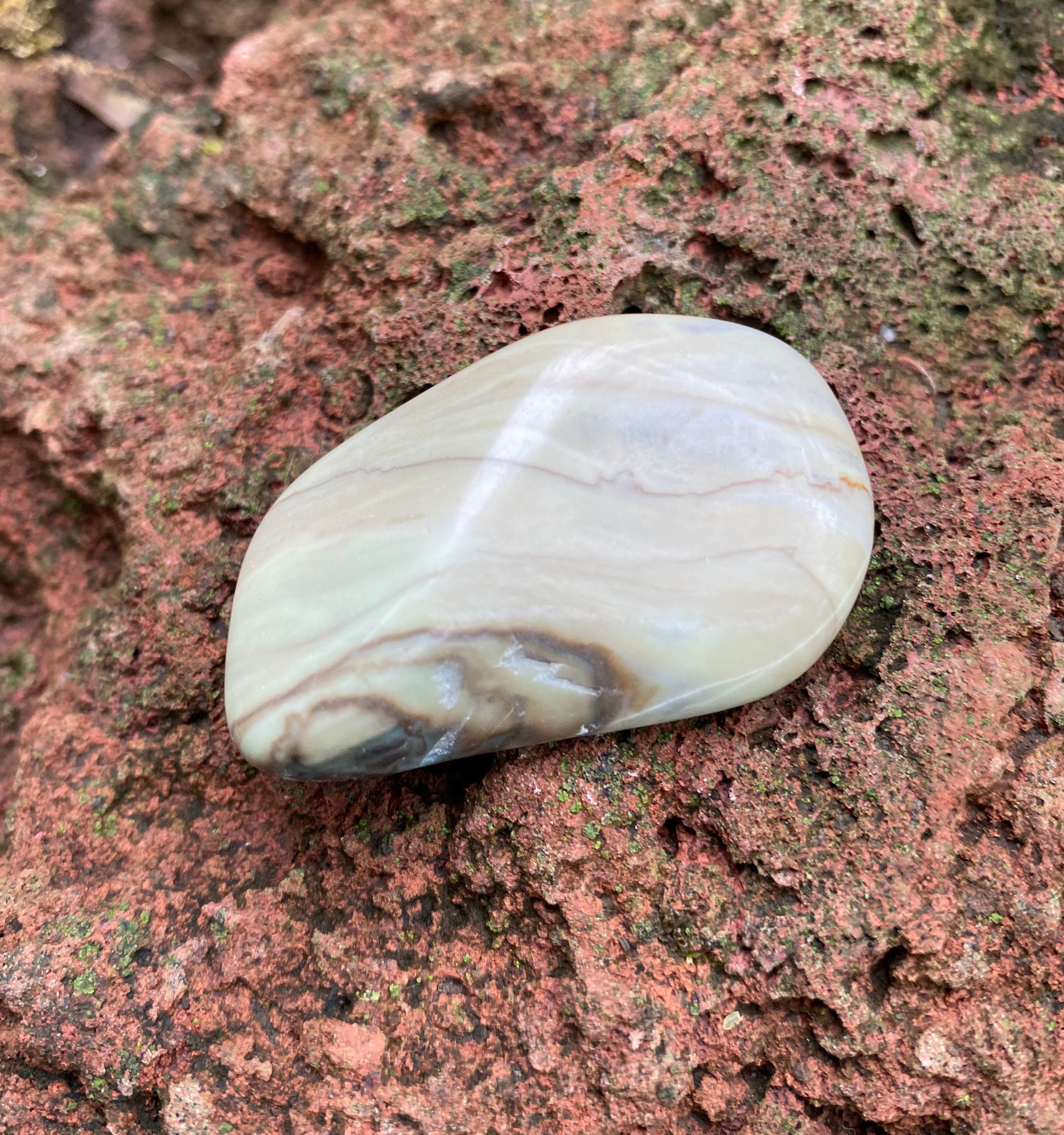 BUTTERSTONE, Older than the Dinosaur, Africa, 31.30 Grams, CR10571